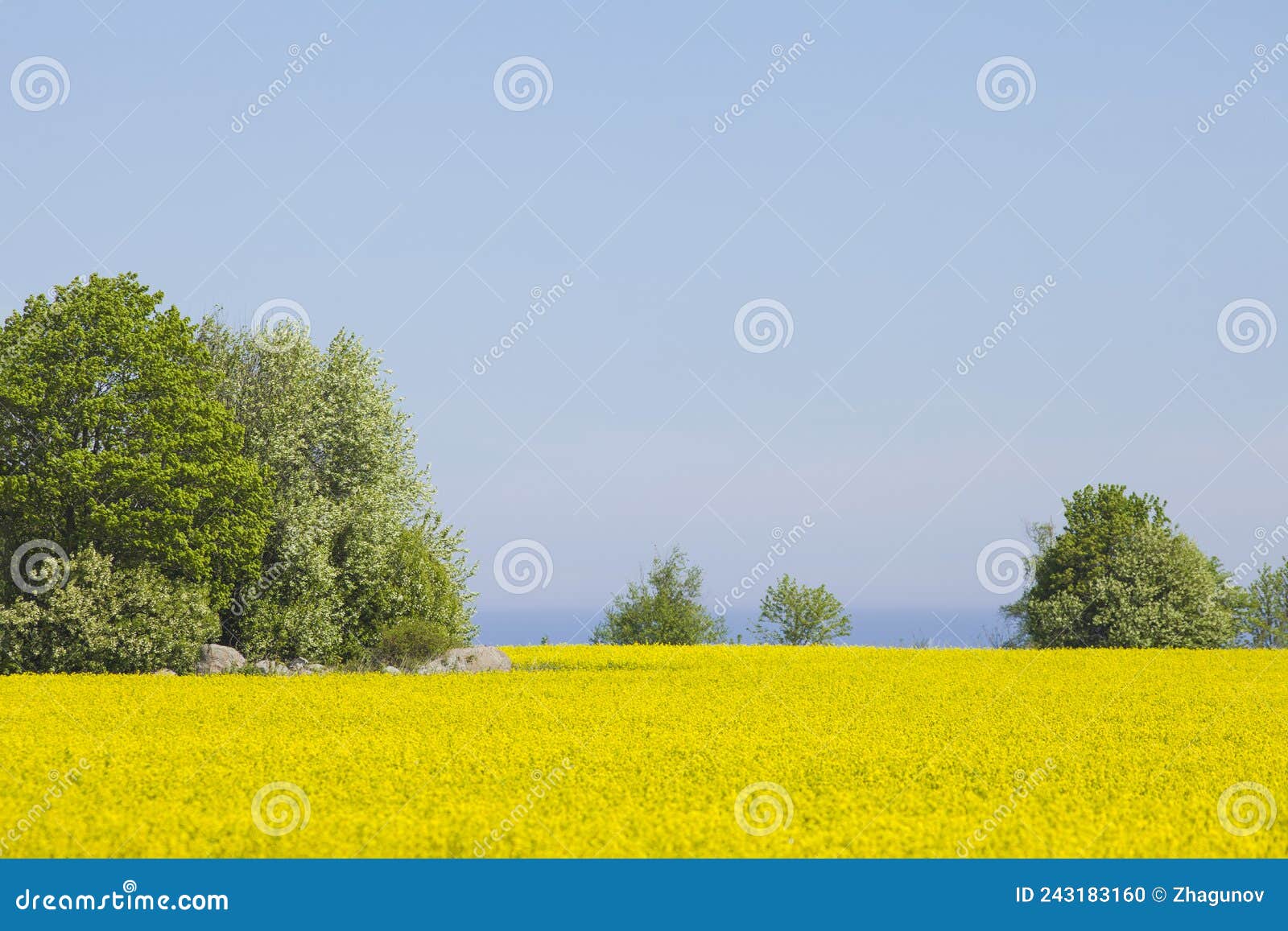 Photo of Beautiful Fields in Spring Stock Photo - Image of natural ...