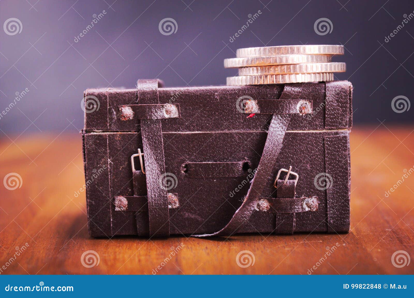 The Stacking Coins on Suitcase Stock Photo - Image of care, growing ...