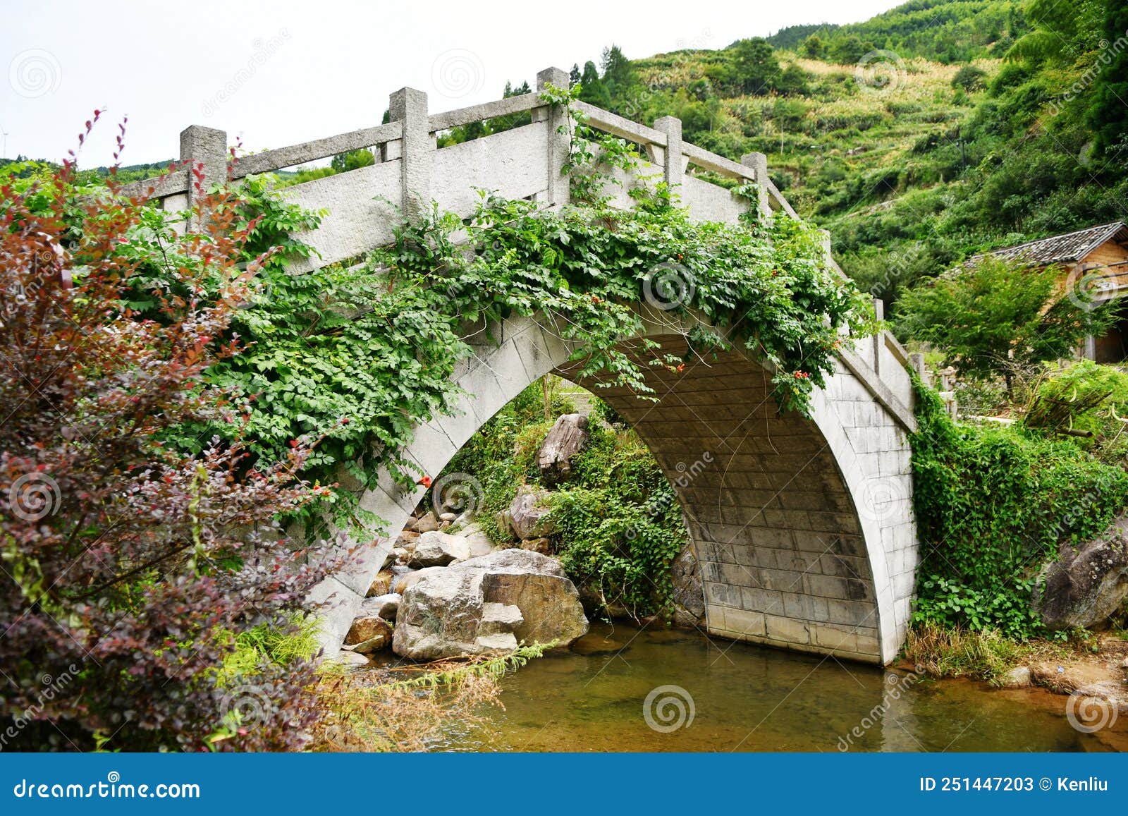 A Stone Bridge Over a Stream Stock Image - Image of nature, entrance ...