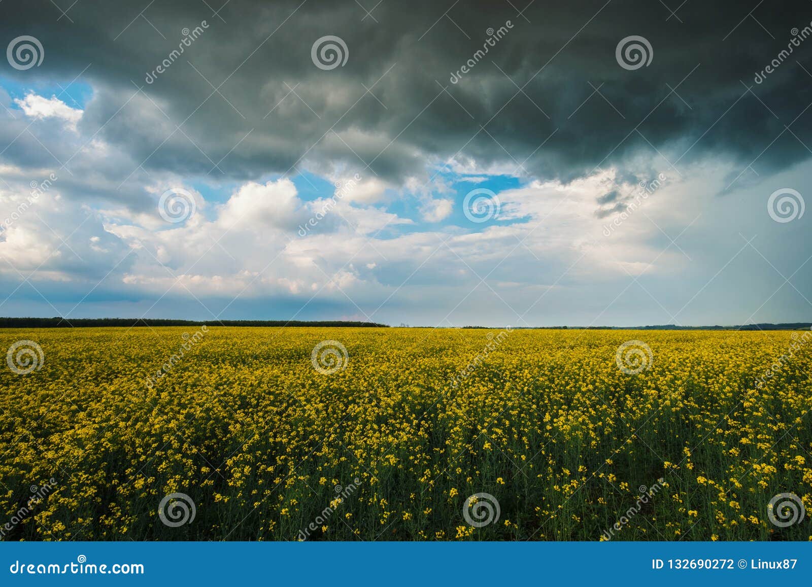 Stormy field stock photo. Image of mood, cloudy, countryside - 132690272