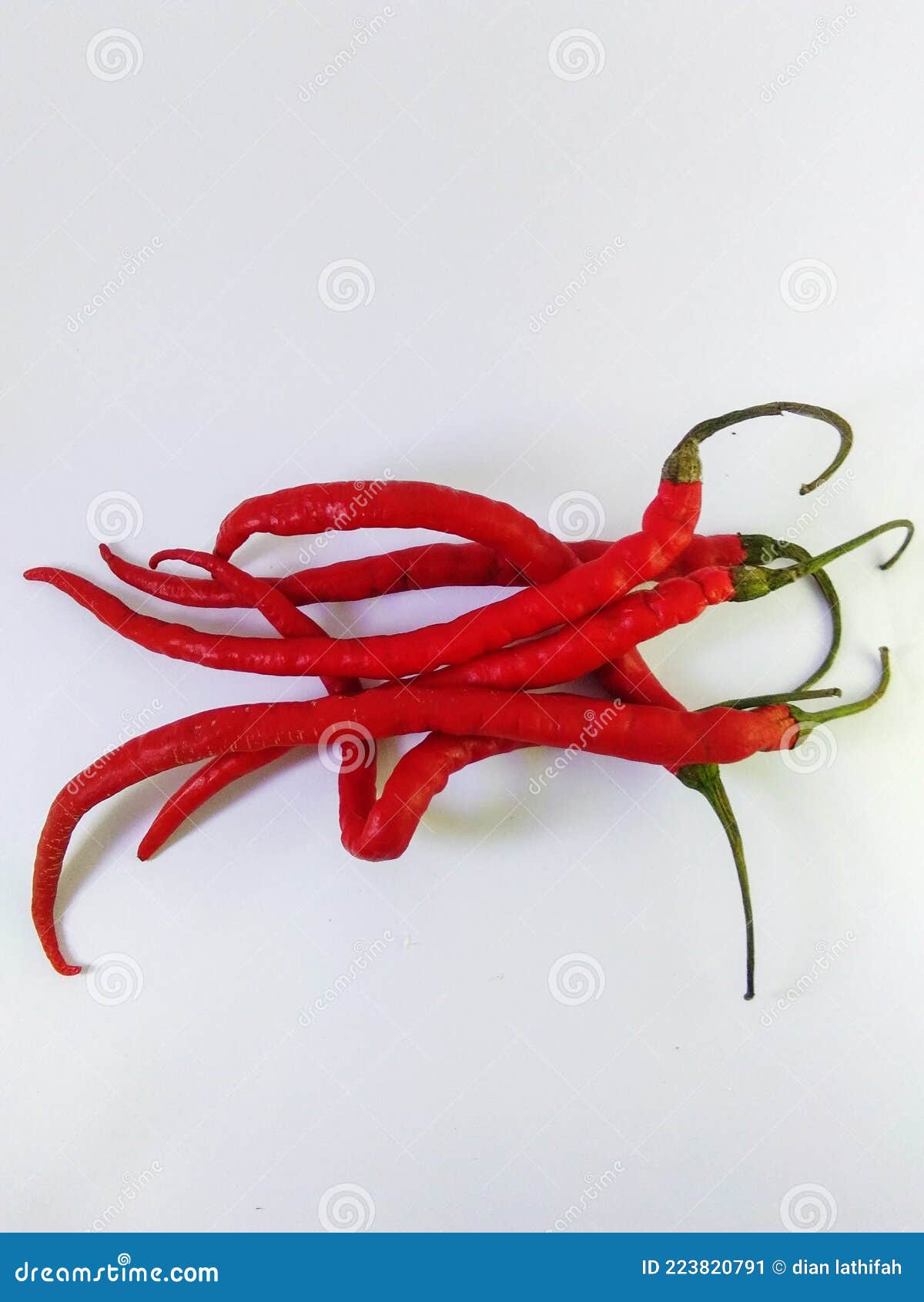 Photo Studio of Red Chilli with Long Shape Stock Image - Image of long ...
