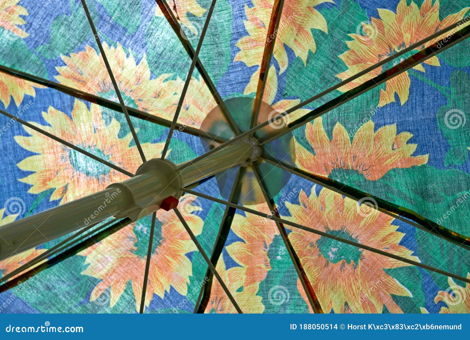 Photo of a Sunflower Umbrella in Summer Stock Photo - Image of parasol ...