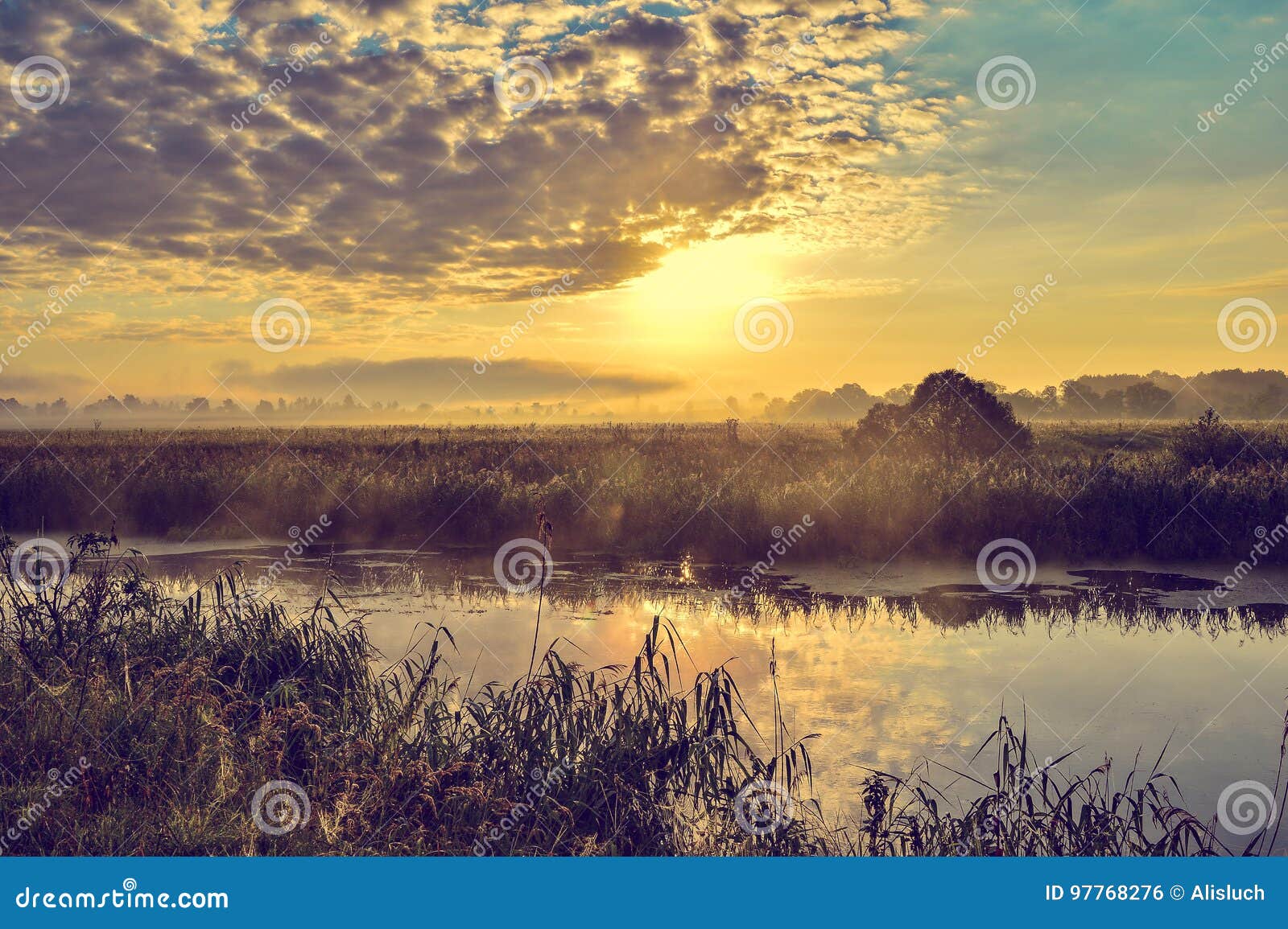Photo with a Sunny Summer Sunrise Over the River Stock Photo - Image of ...