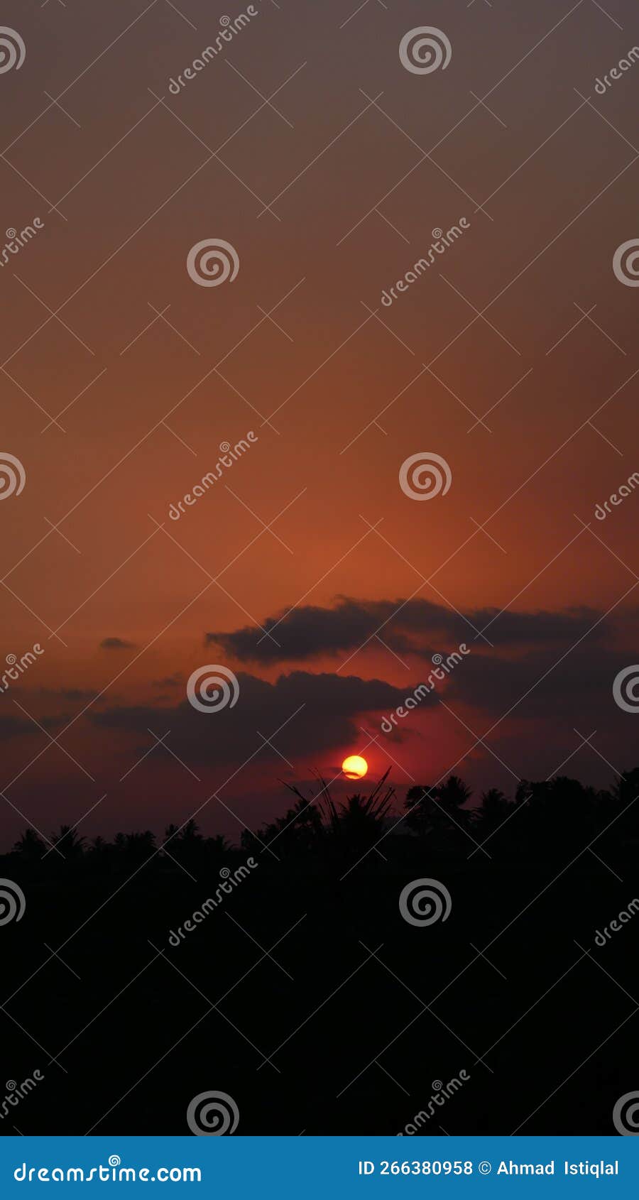 Photo of sunset red sun stock photo. Image of beauty - 266380958