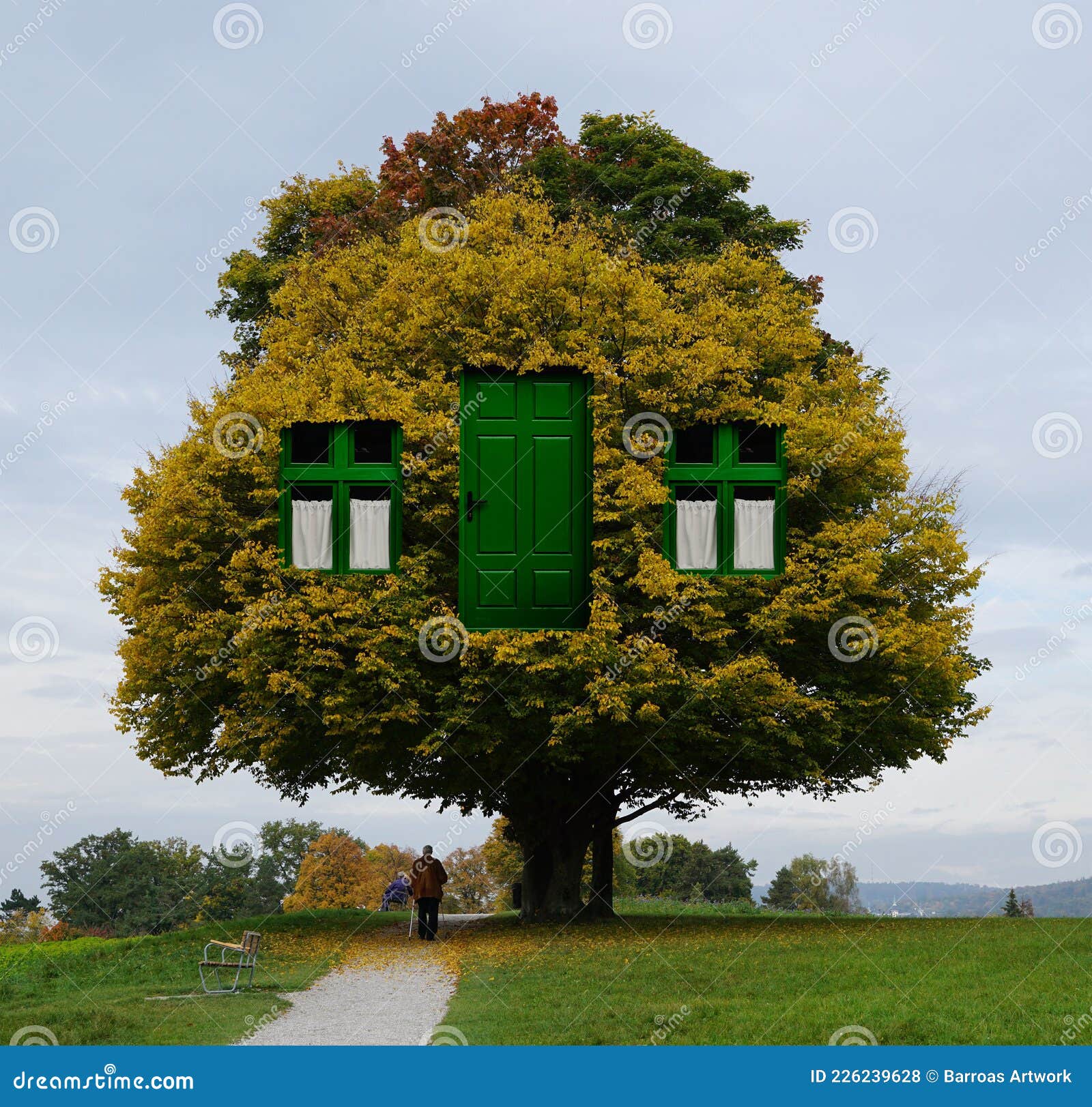 Photo Surrealism Showing Doors and Windows in a Tree Stock Photo ...