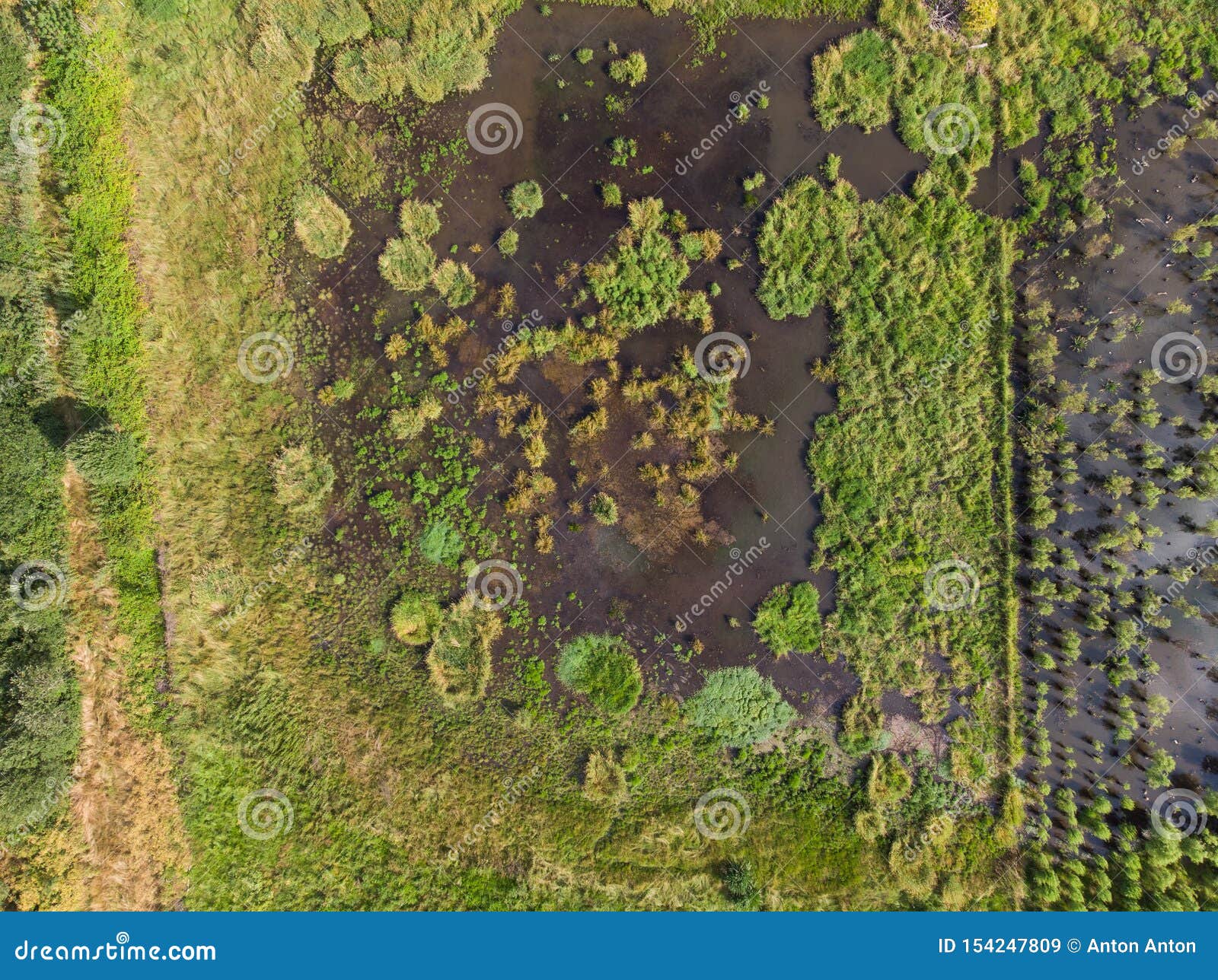 Landscape Top View Texture