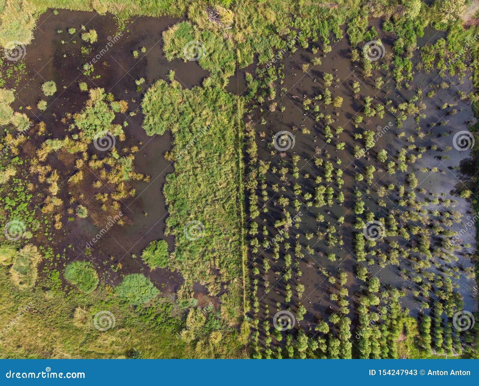 Photo of Swamp and Landscape Top View, Texture for Design Stock Image ...