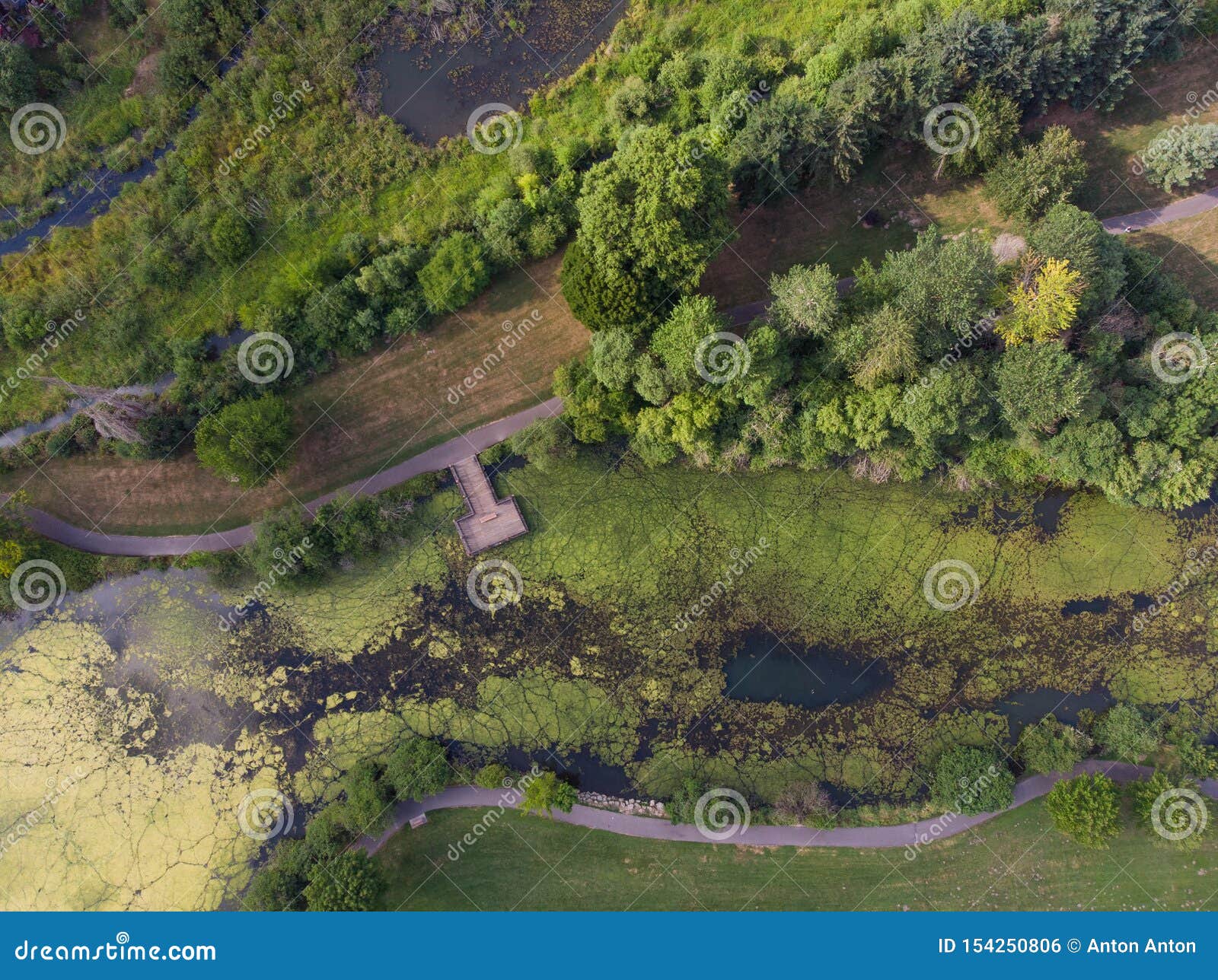 Trees Top View Landscape Design Stock Photos - Download 2,108 Royalty ...