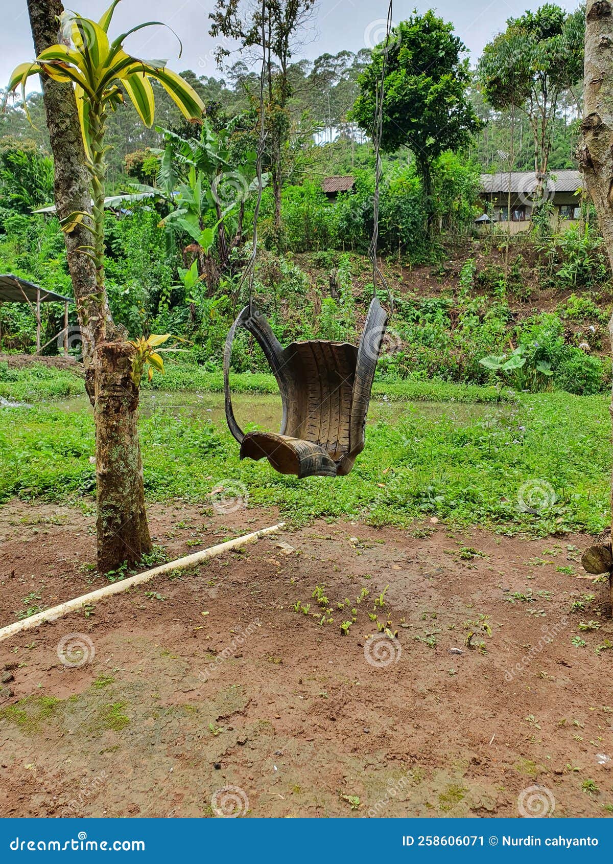 Photo of a Swing Made from Used Car Tires Stock Image - Image of plant ...
