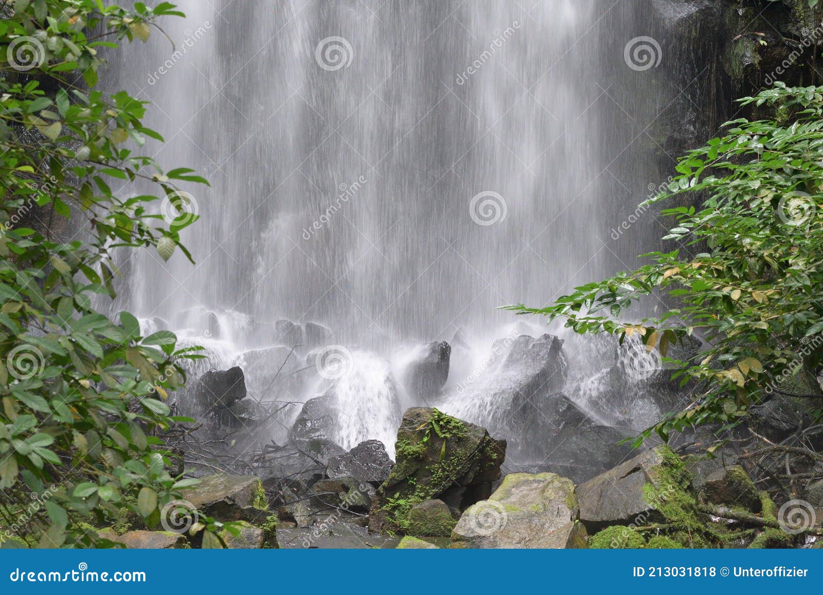 A Waterfall with Smooth Silky Falling Water in a Dense Forest Stock ...