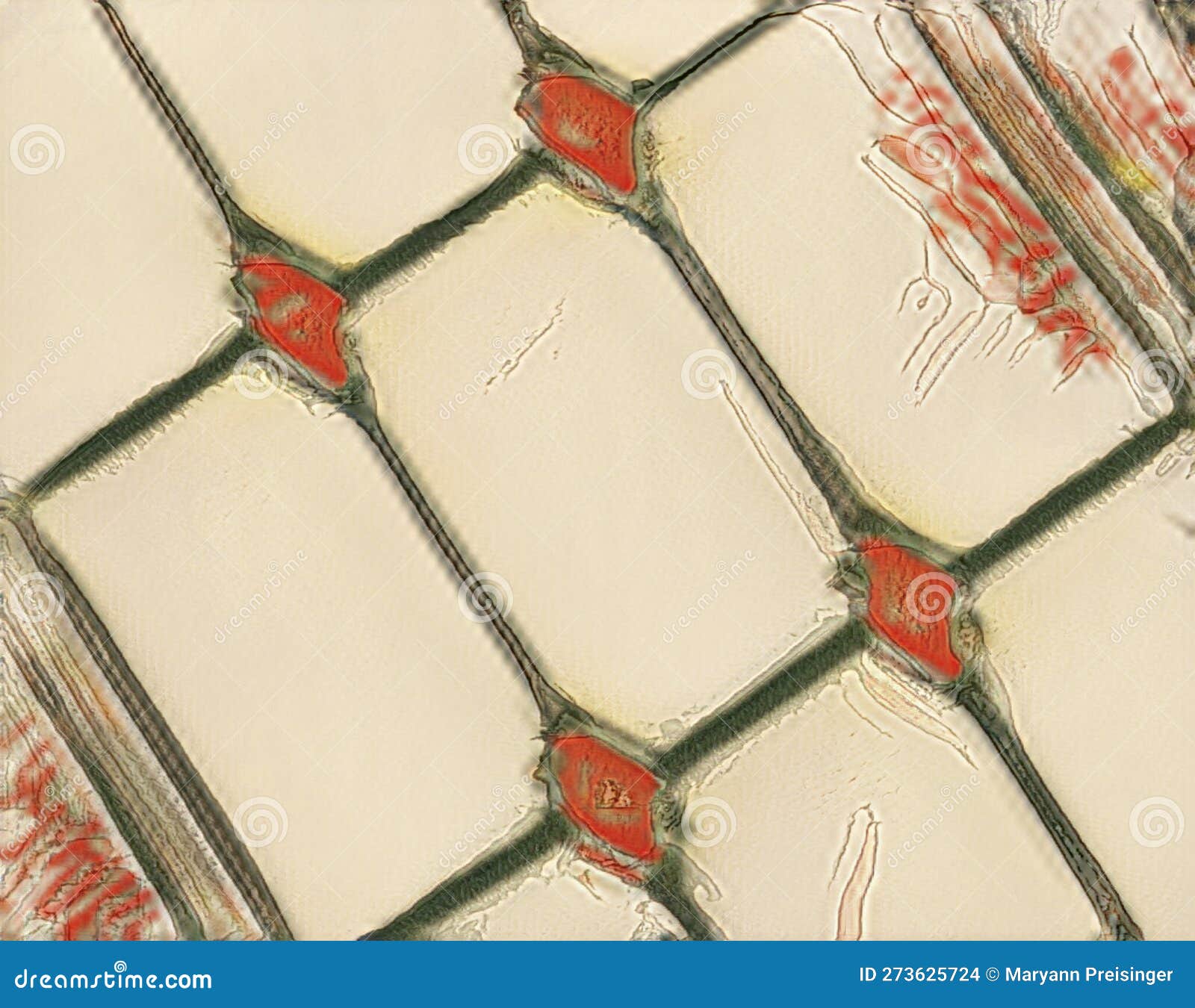 This Photo with Text Space Shows Modern Rectangle Window Panes ...