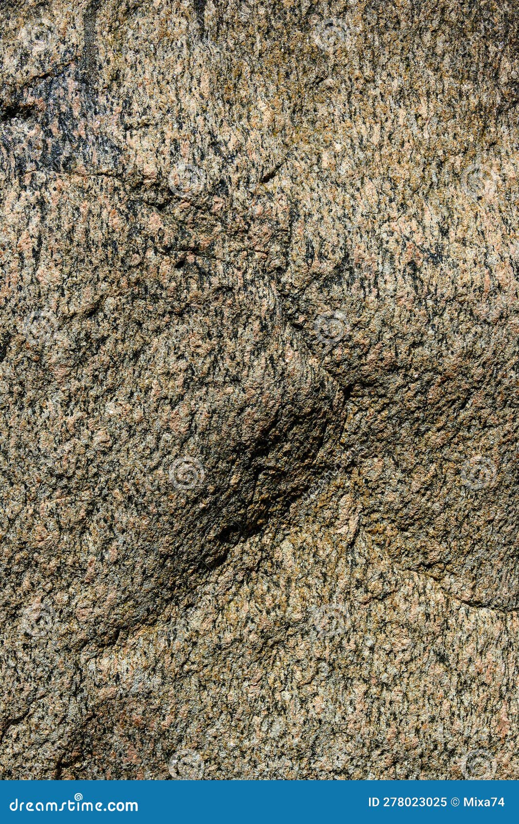 Photo Texture of a Huge Stone, Boulder in the Park 7 Stock Image ...