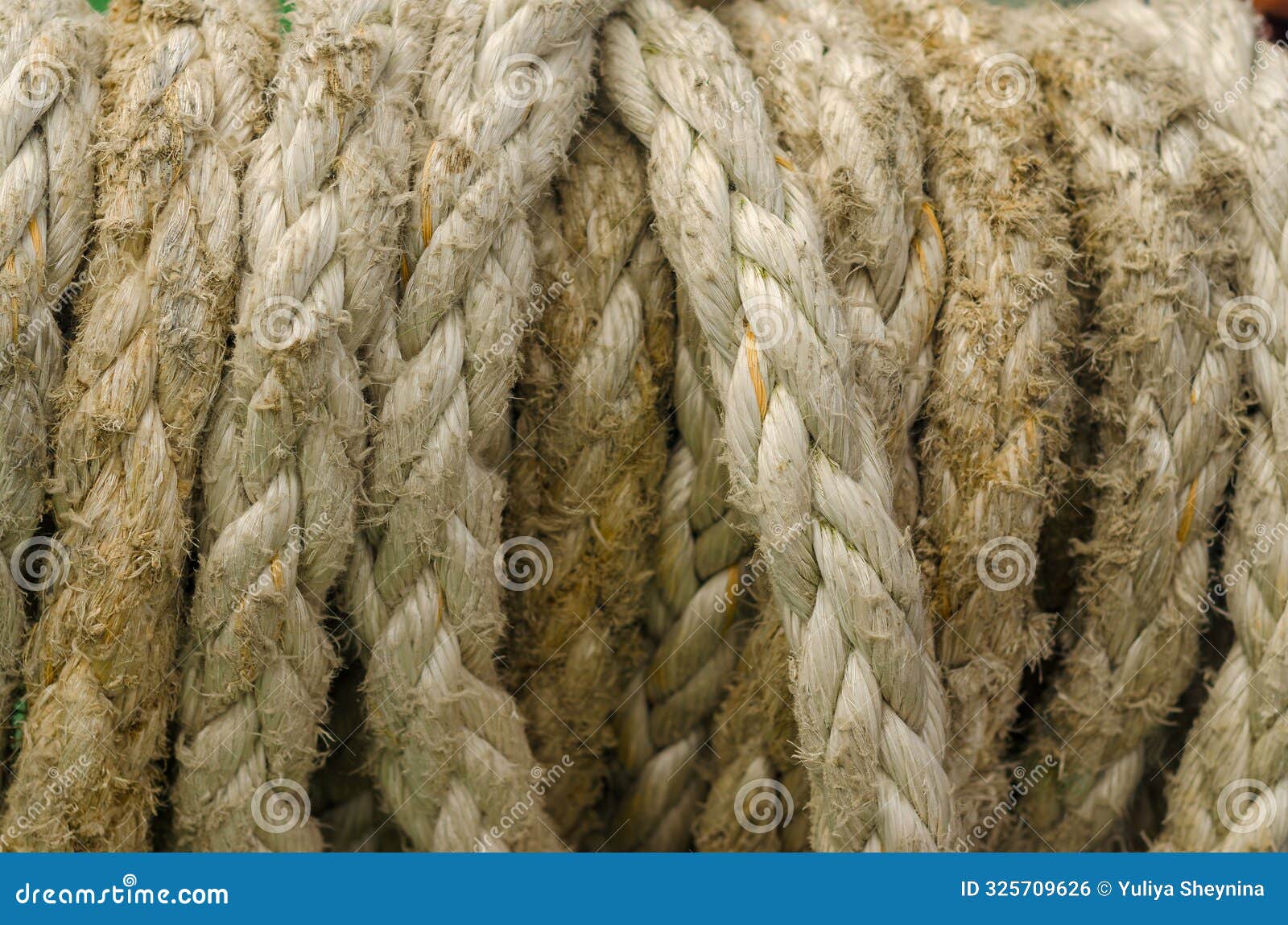 Photo of a Texture Ship Rope. Covered with Sand Stock Photo - Image of ...