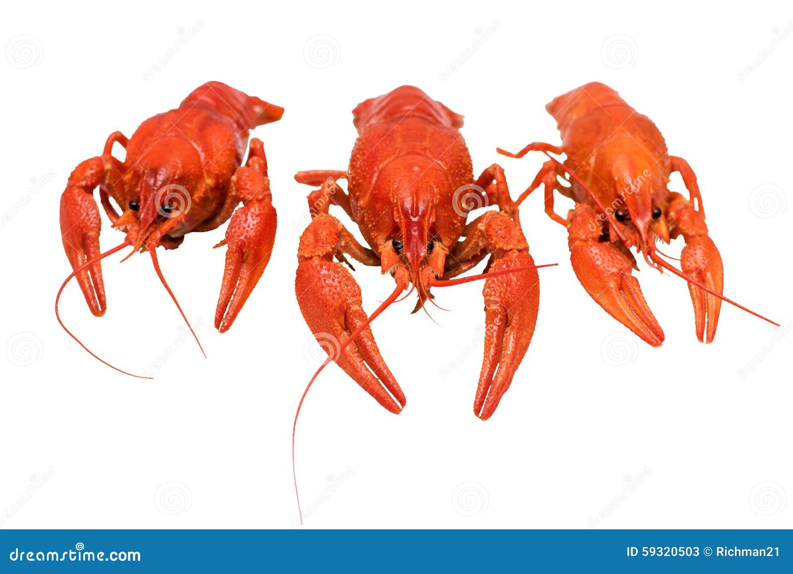 Photo Of Three Boiled Crayfish Stock Image - Image of dish, delicious ...