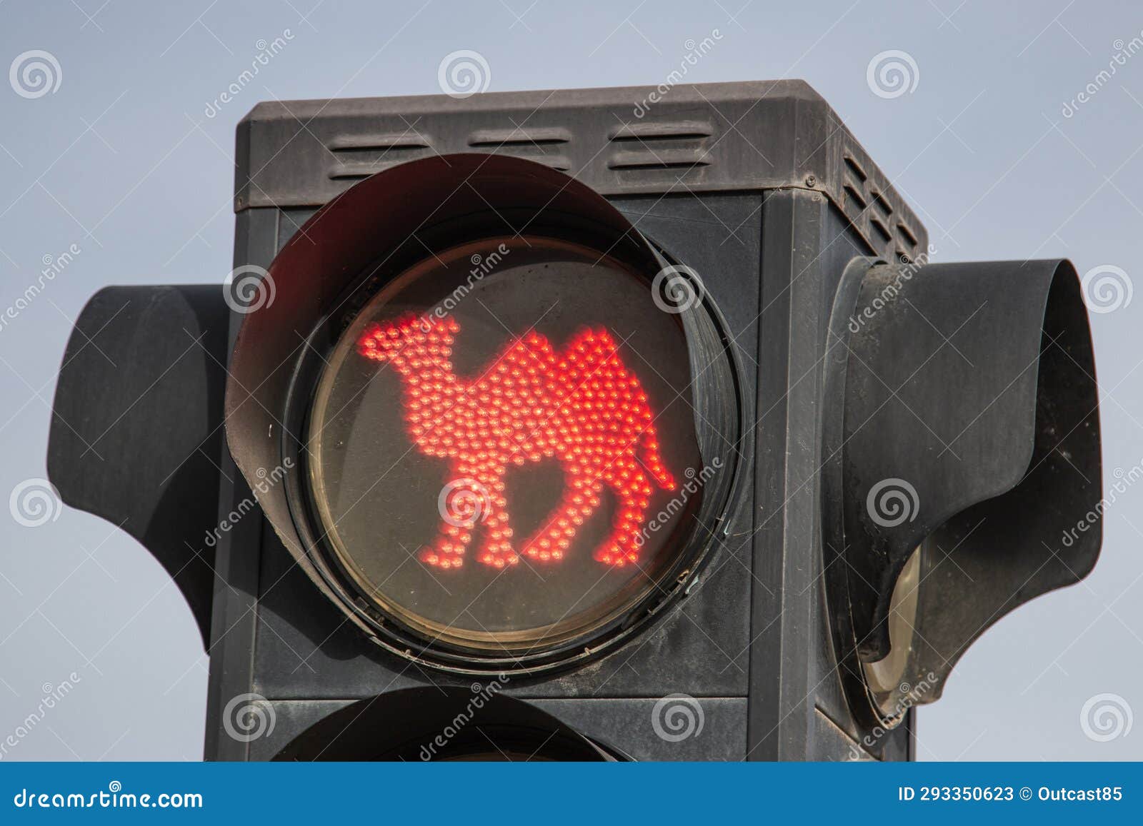 Photo of a Traffic Light with a Camel Symbol Stock Image - Image of ...
