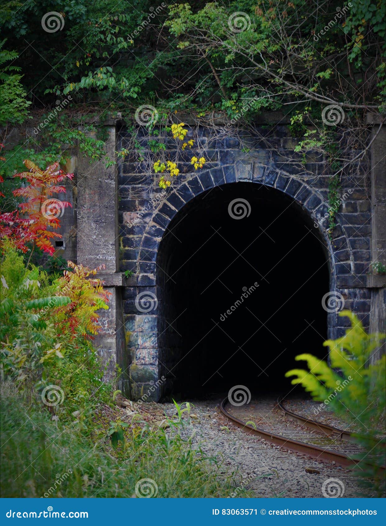 Photo Of Train Tunnel During Daytime Picture. Image: 83063571