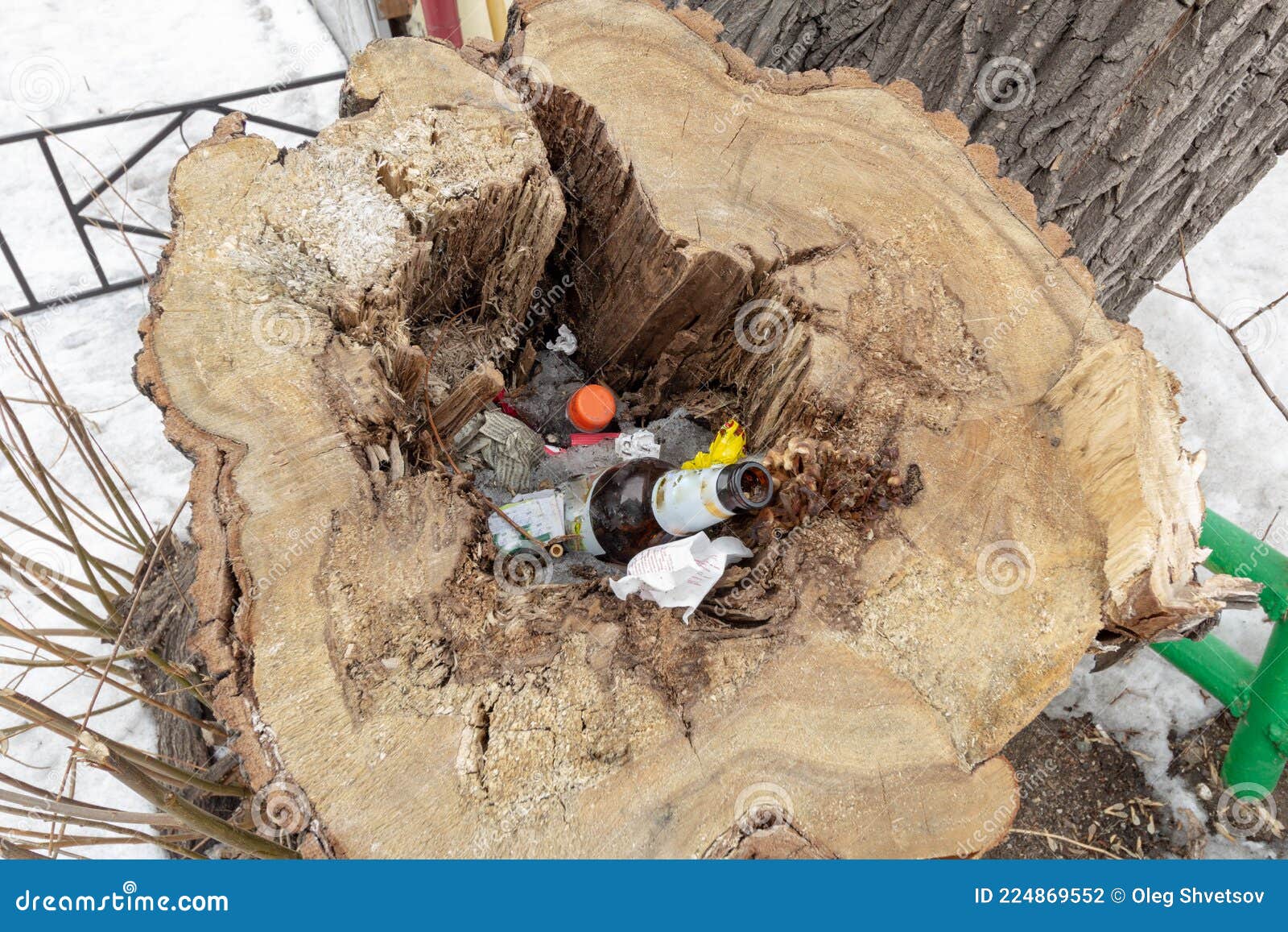 In the Photo a Tree with a Stump in it Garbage and Environmental ...