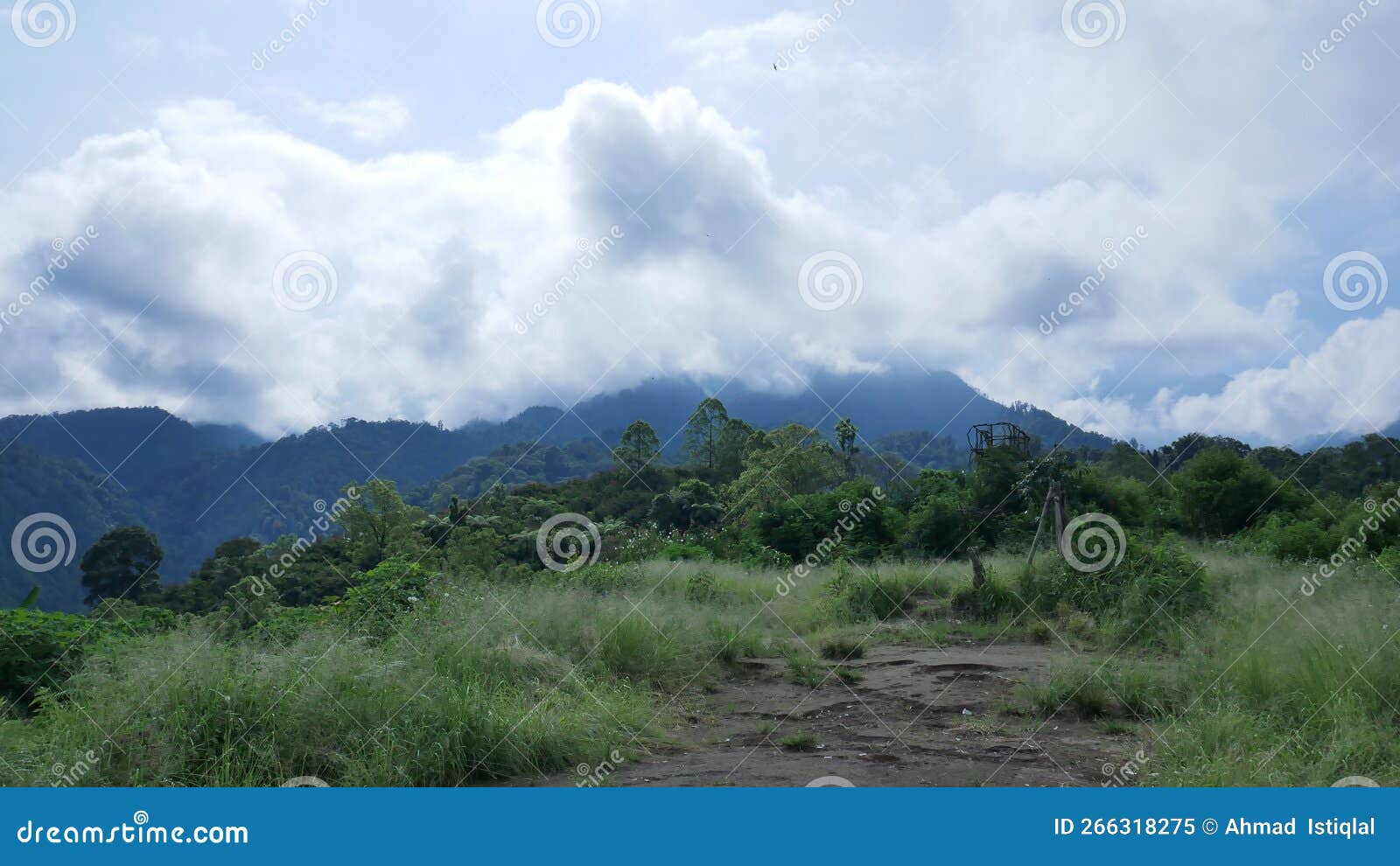 Photo of Tree View from the Top of the Hill Stock Image - Image of view ...