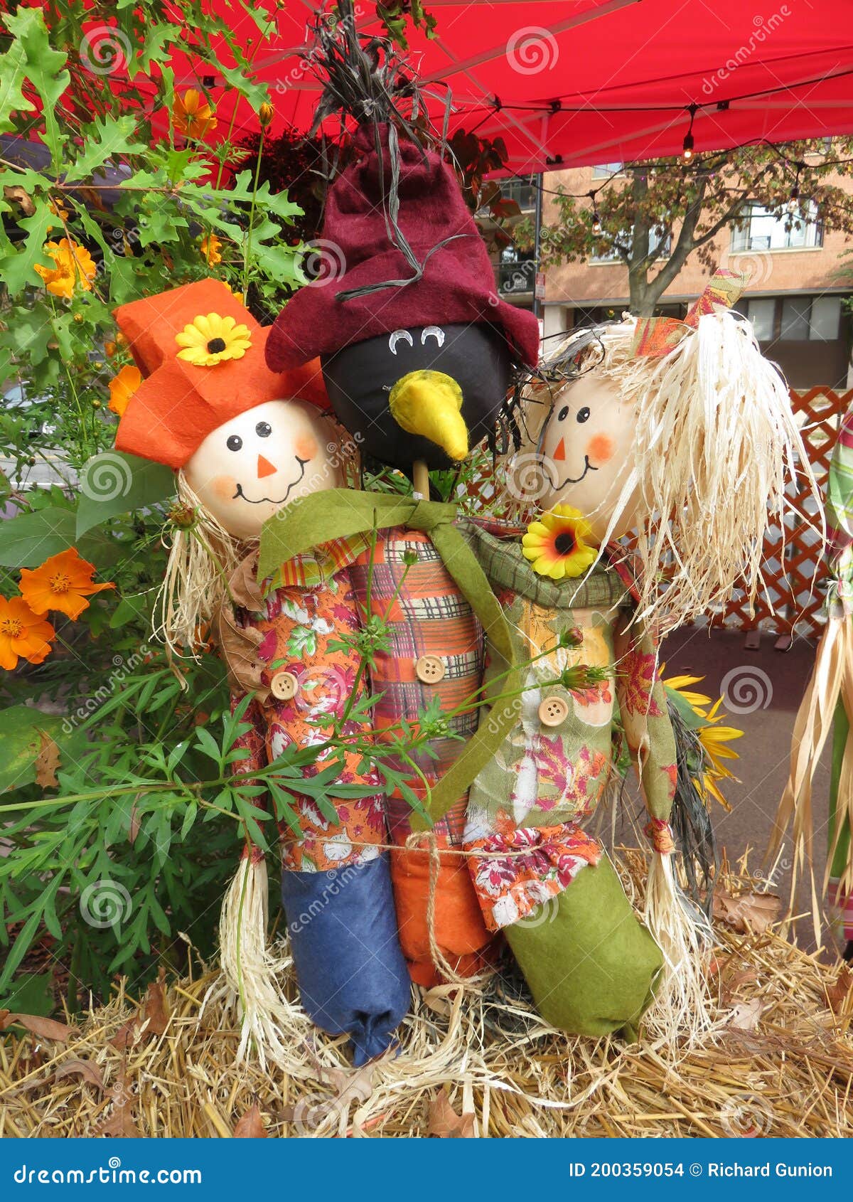 Halloween Scarecrows in October Stock Photo - Image of scarecrows ...