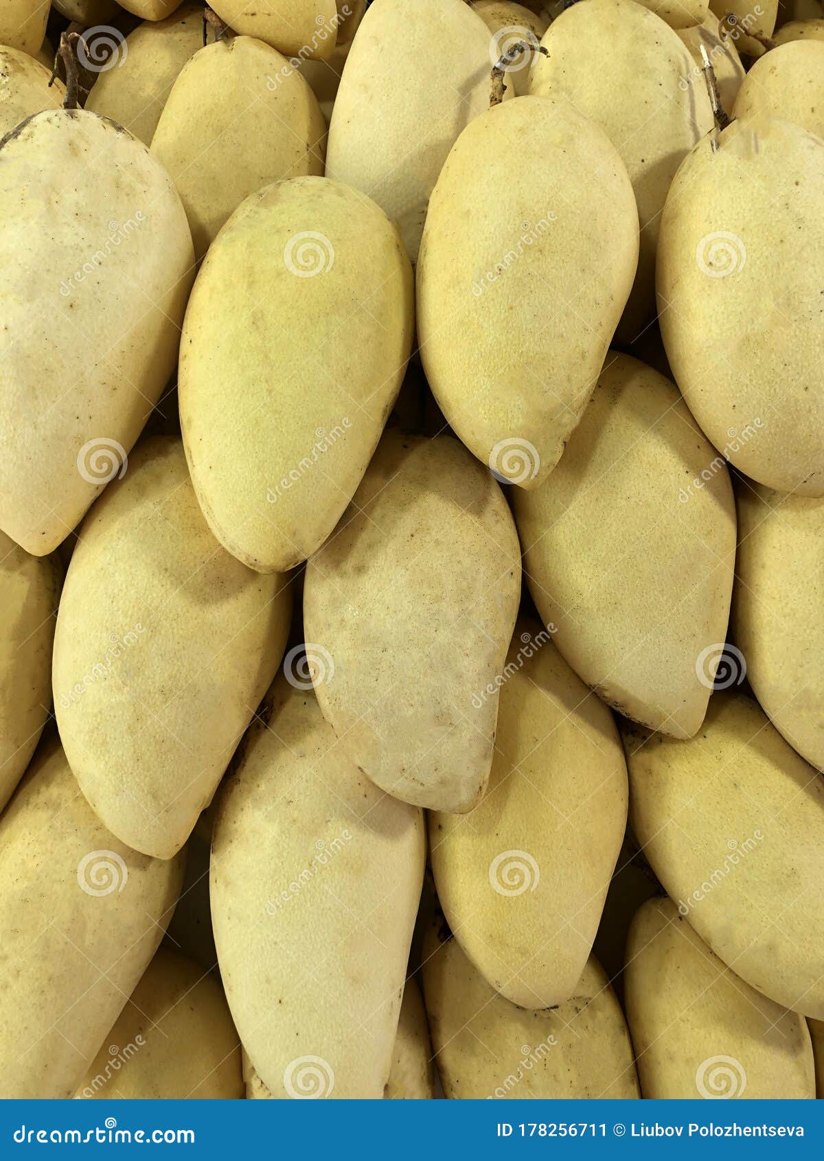 Photo Tropical Mango Fruit on the Counter of the Supermarket Stock ...