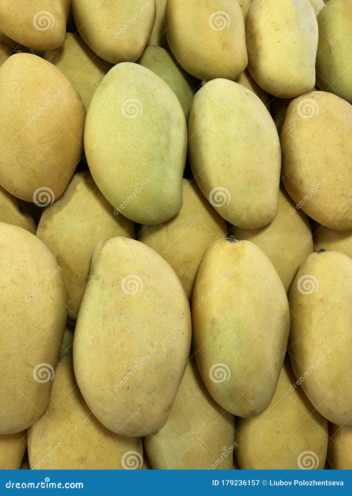 Photo Tropical Mango Fruit on the Counter of the Supermarket Stock ...