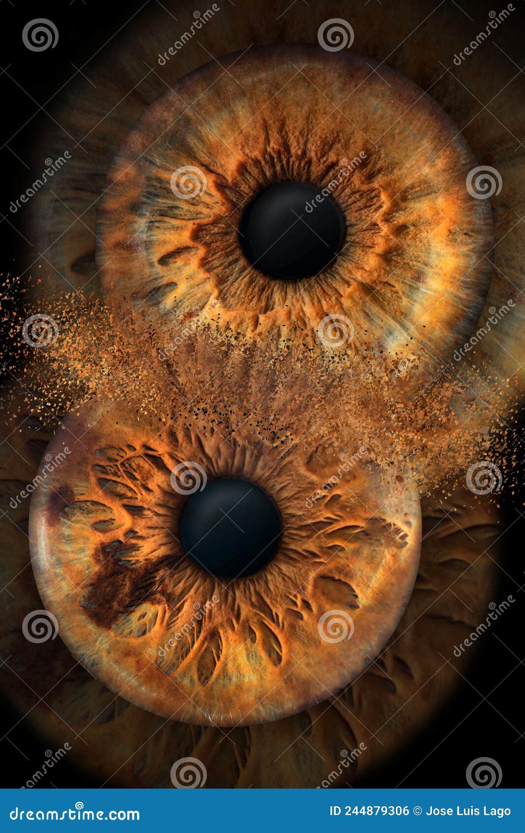 Photo of Two Eyes Taken in Macro Mode, of Different Persons and Same ...