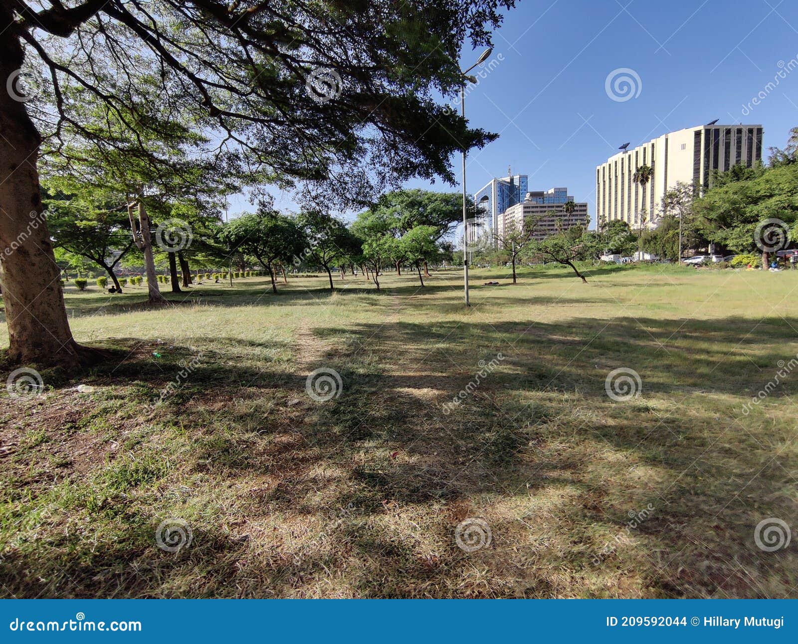 Uhuru Park Nairobi stock photo. Image of garden, nairobi - 209592044