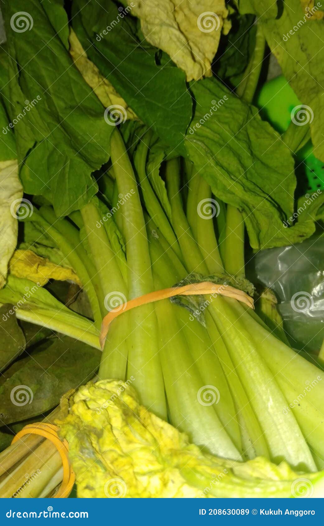 Photo of Vegetables that are Wilted because they are Dry Stock Image ...