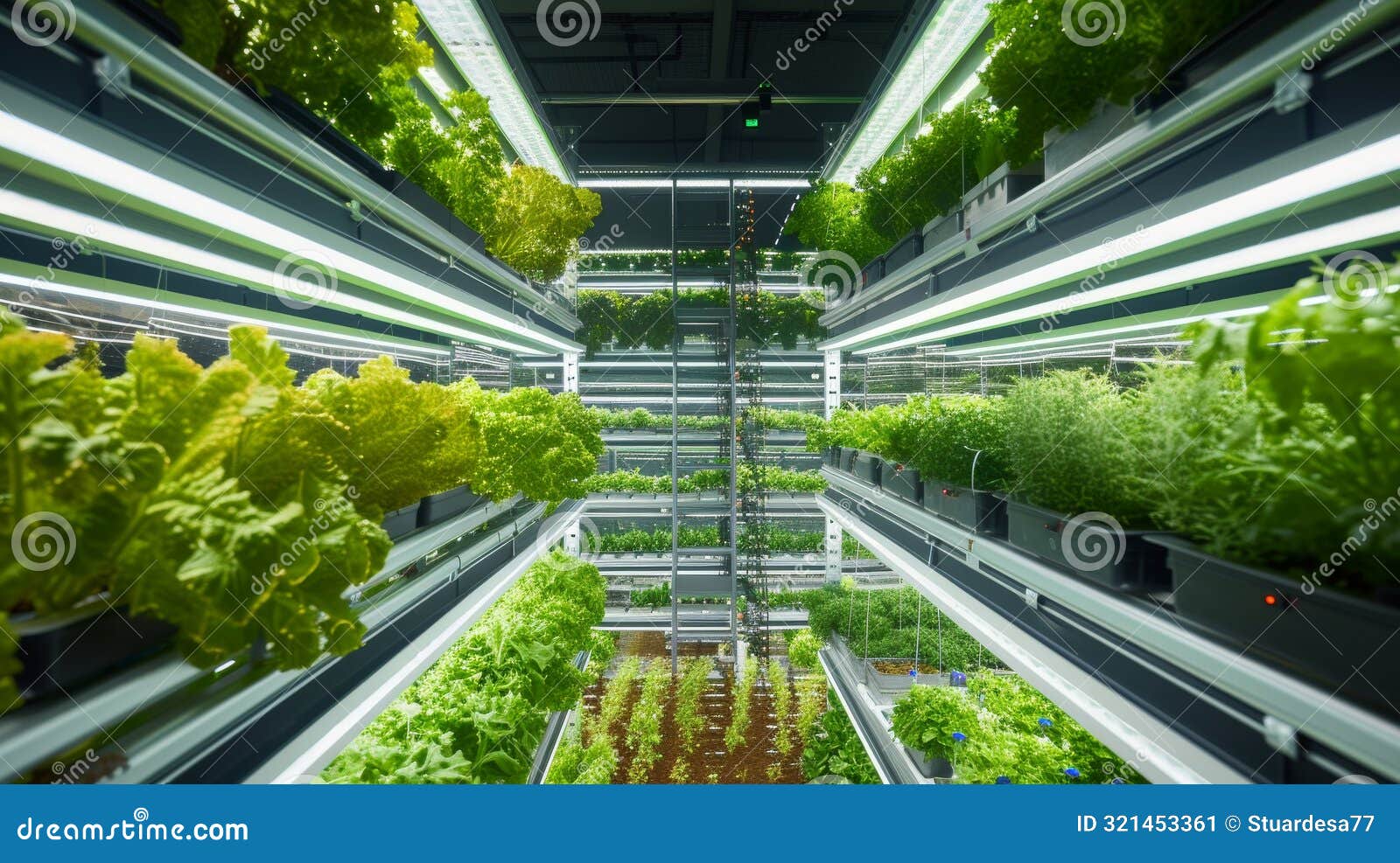 Advanced Vertical Farming Setup Stock Image - Image of abundant, ripe ...