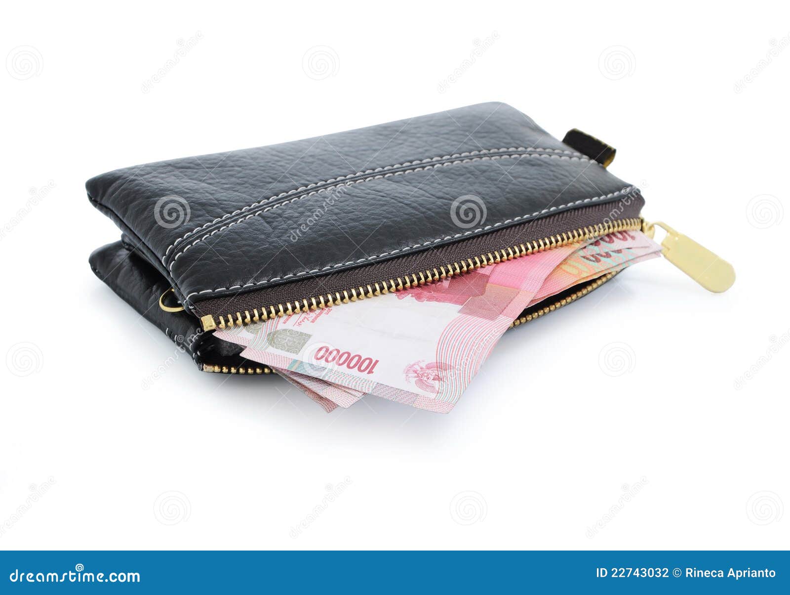 Photo of wallet and money stock photo. Image of fist - 22743032