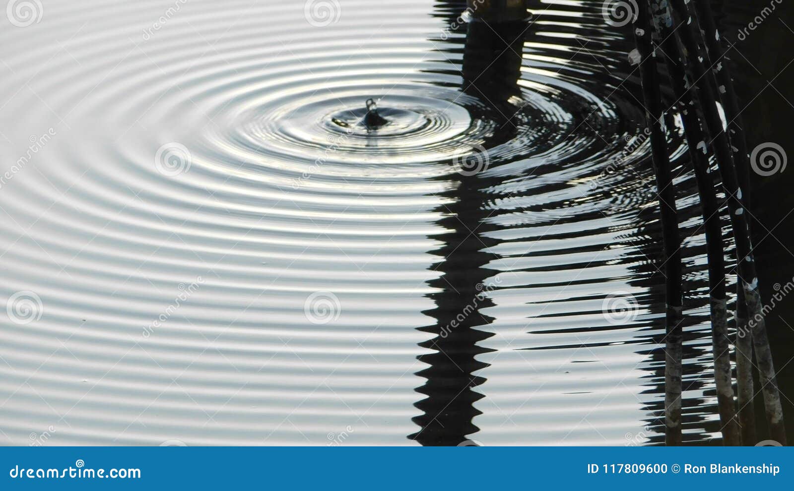 Droplet waves stock photo. Image of ripple, waves, water - 117809600