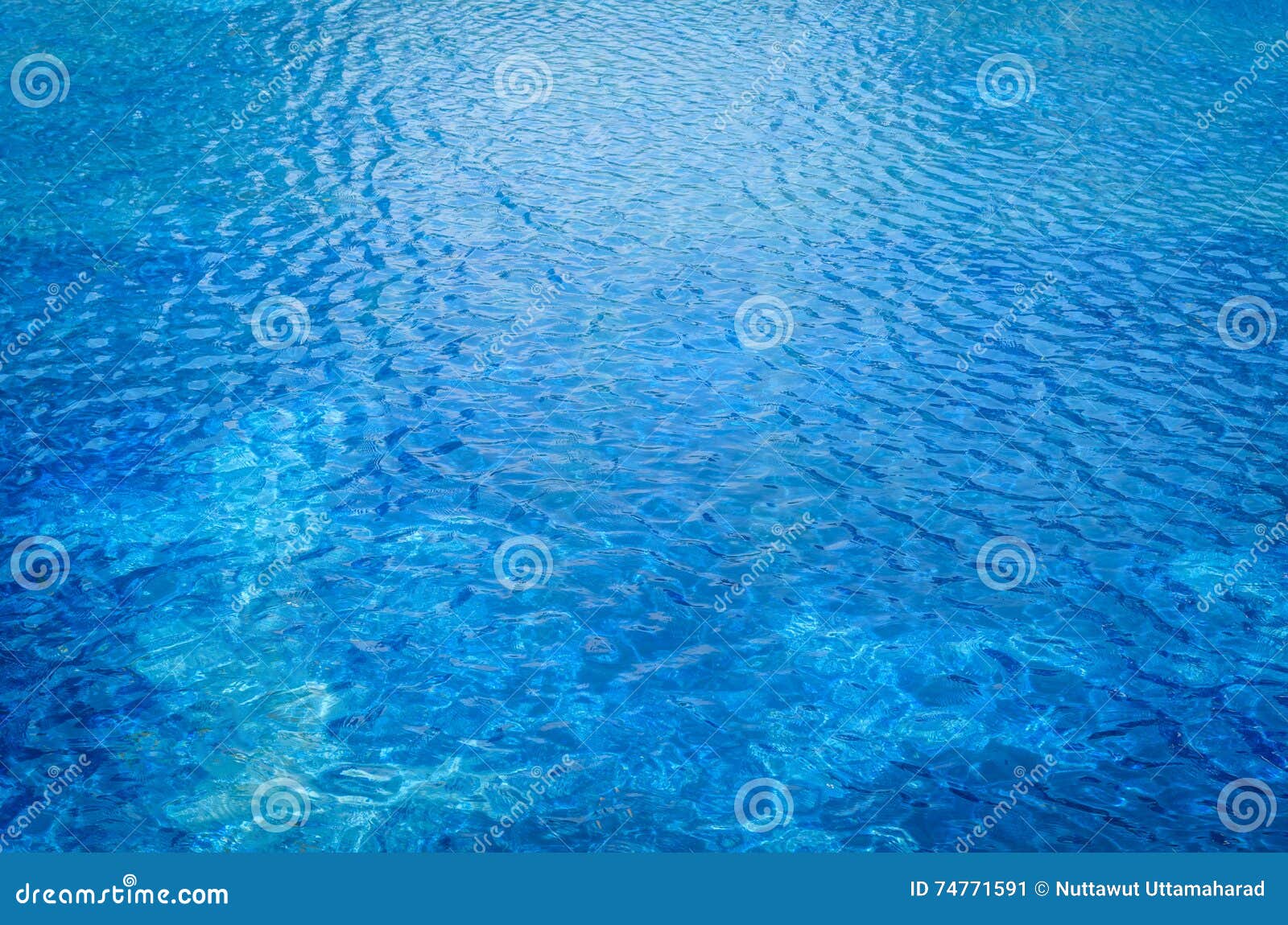 Photo of Water in a Swimming Pool Stock Image - Image of light, surface ... Photo of Water in a Swimming Pool Stock Image - Image of light, surface ...