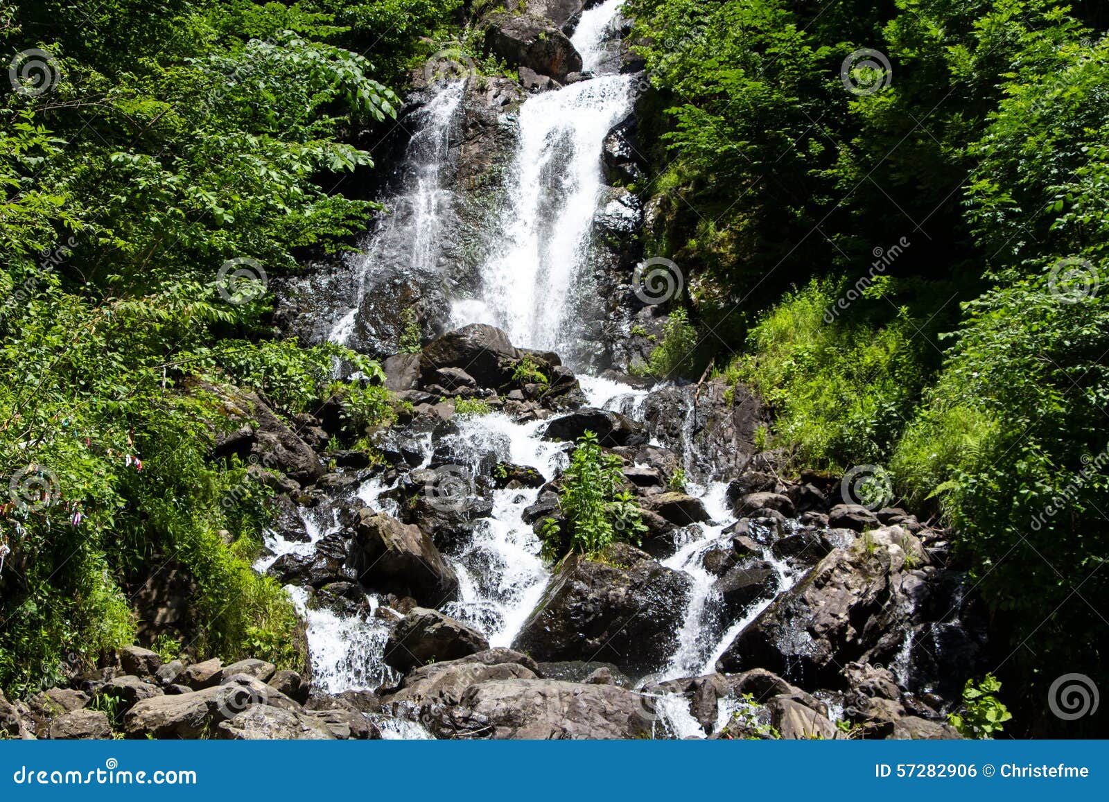 Photo of Waterfall among Trees Stock Photo - Image of vegetation, tree ...