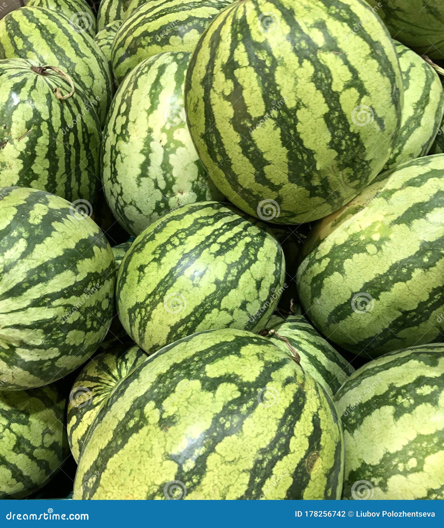 Photo Watermelon on the Counter Supermarket Stock Photo - Image of ...
