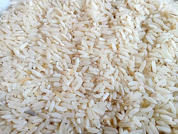 Photo of White Rice in Large Quantities Stock Image - Image of ...