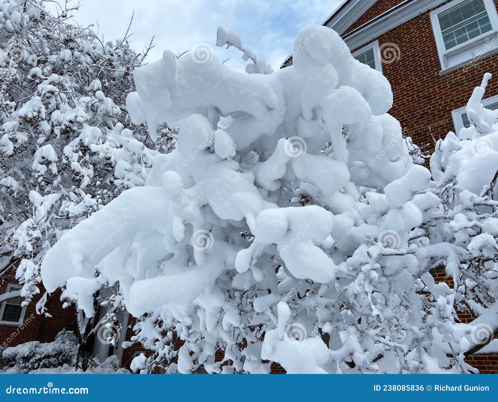 Winter Snow Formations in January Stock Photo - Image of building ...