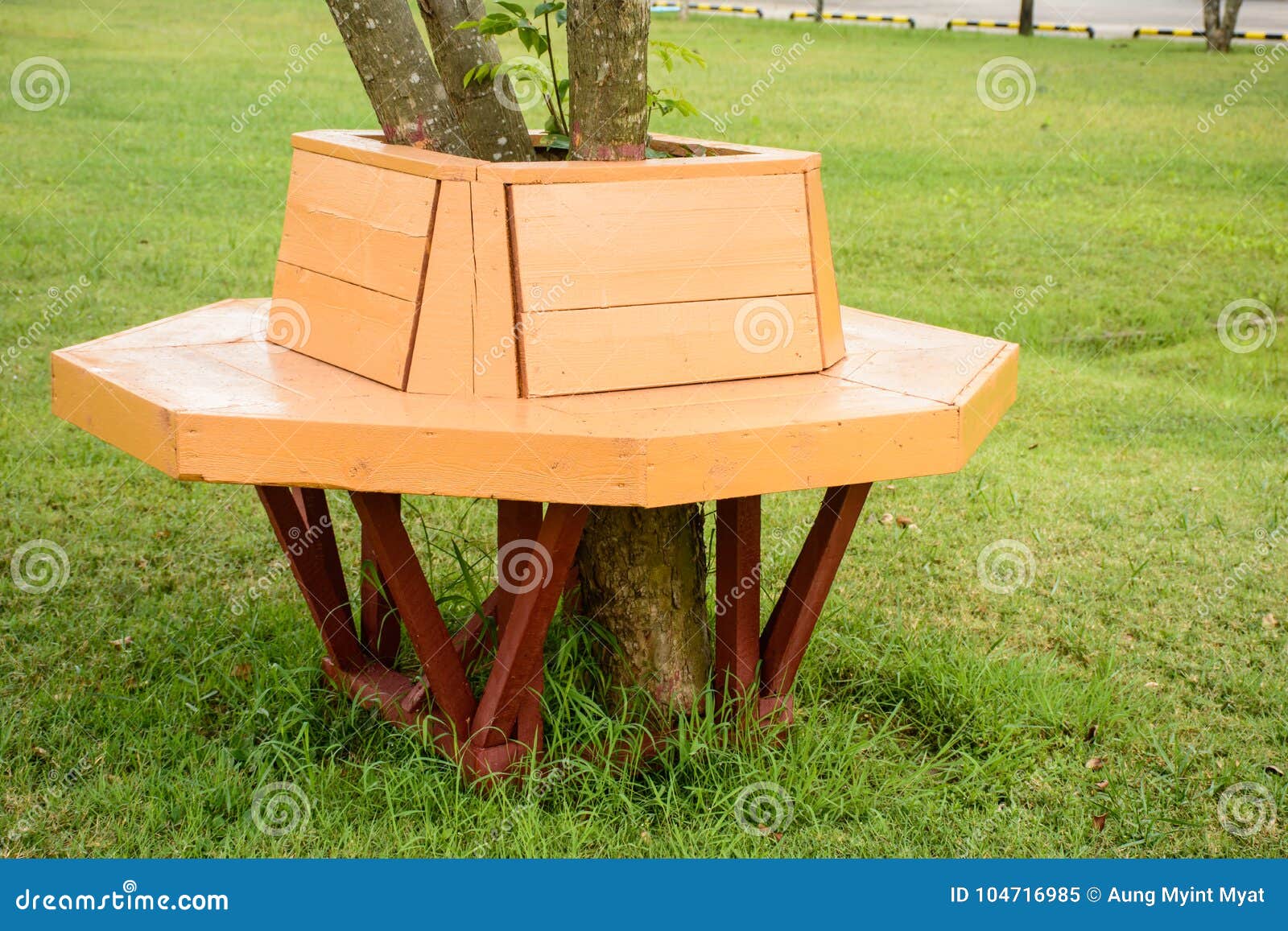 Wooden Bench Under the Tree Stock Image - Image of seating ...