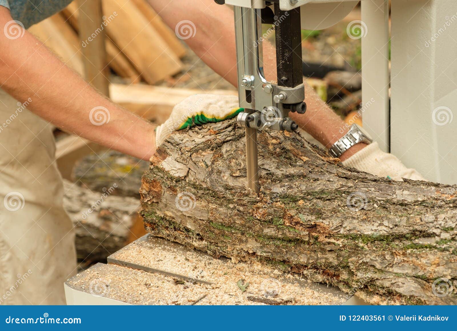 On a Photo Work of the Carpenter Cutting a Tree. Stock Image - Image of ...