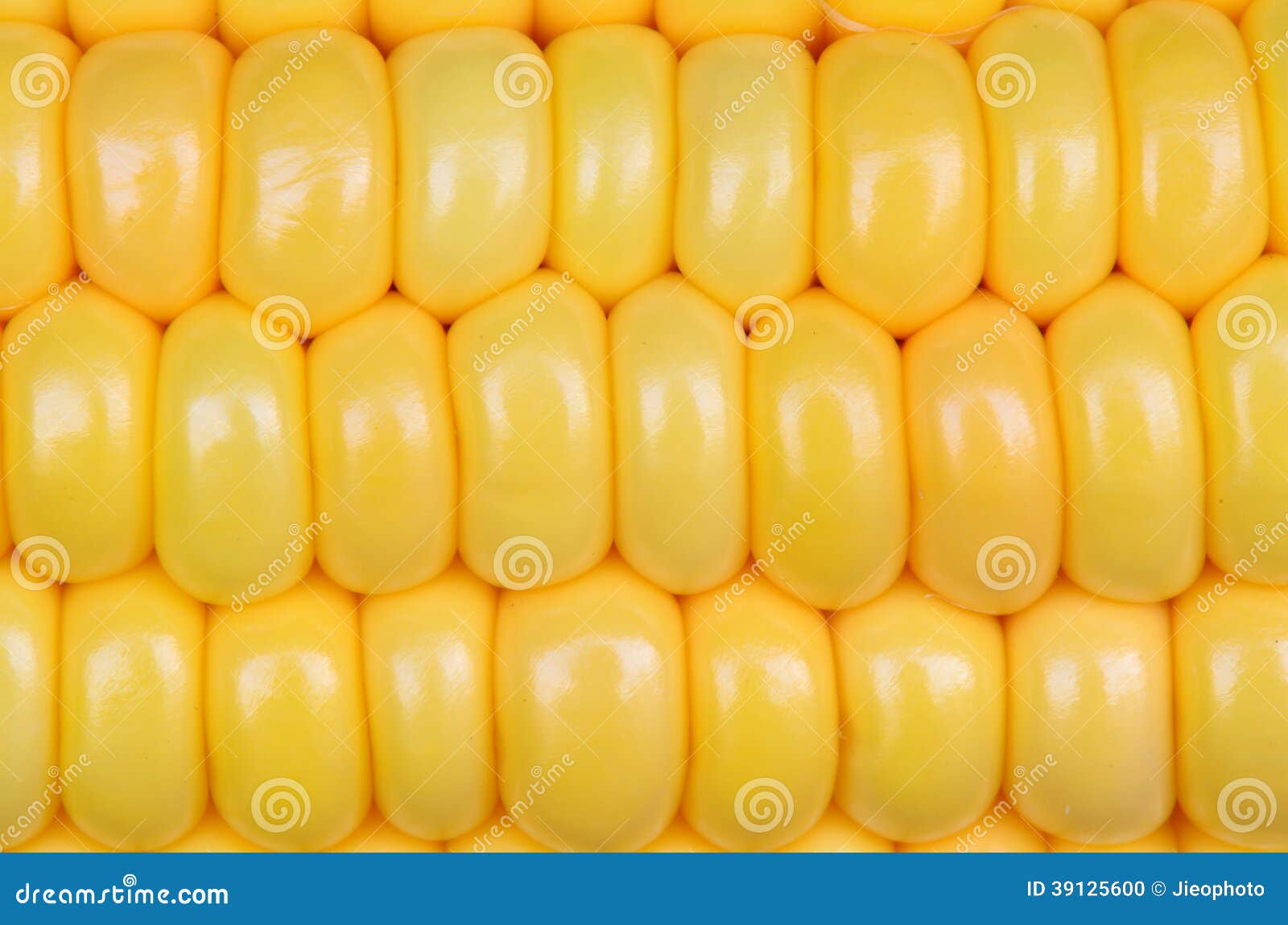 Photo of Yellow Corn Background, Abstract Backgrounds, Stock Photo ...
