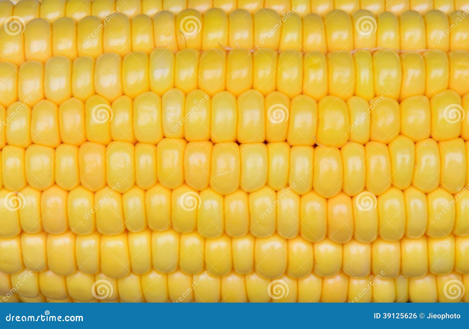 Photo of Yellow Corn Background, Abstract Backgrounds, Stock Photo ...