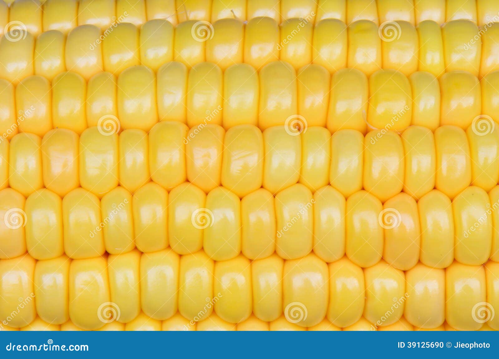 Photo of Yellow Corn Background, Abstract Backgrounds, Stock Photo ...