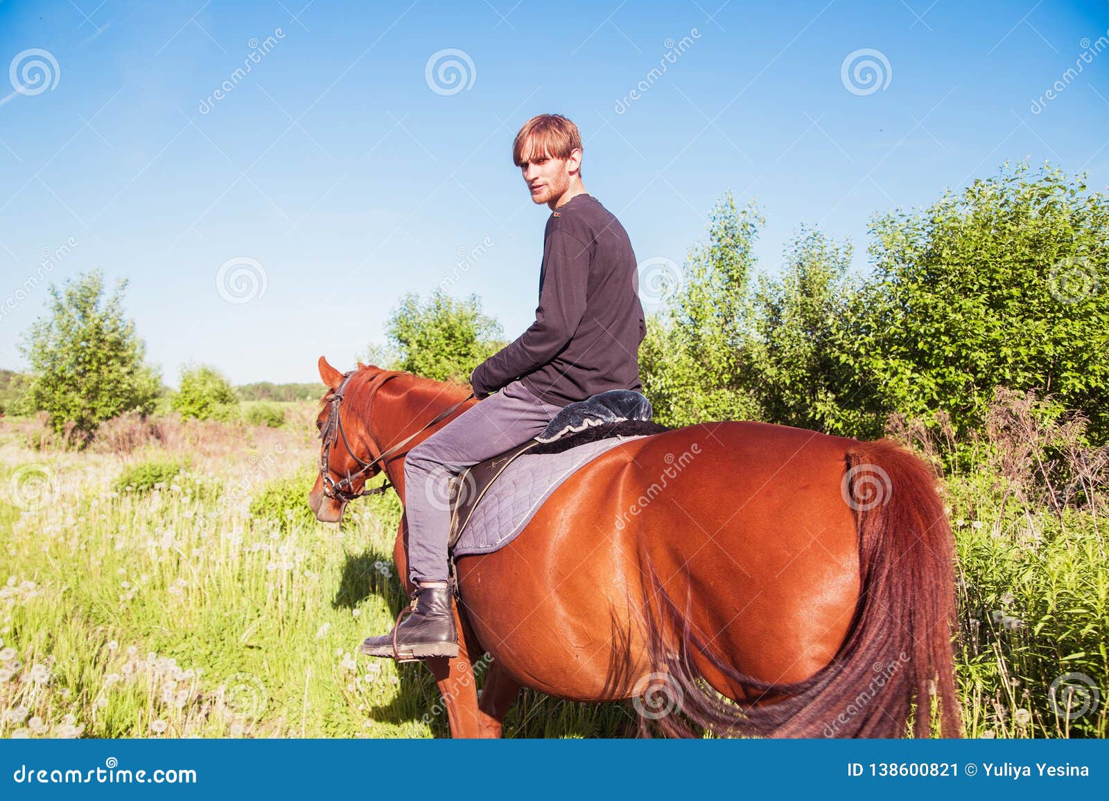 Young Man Riding a Horse in the Field Stock Image - Image of green ... Young Man Riding a Horse in the Field Stock Image - Image of green ...