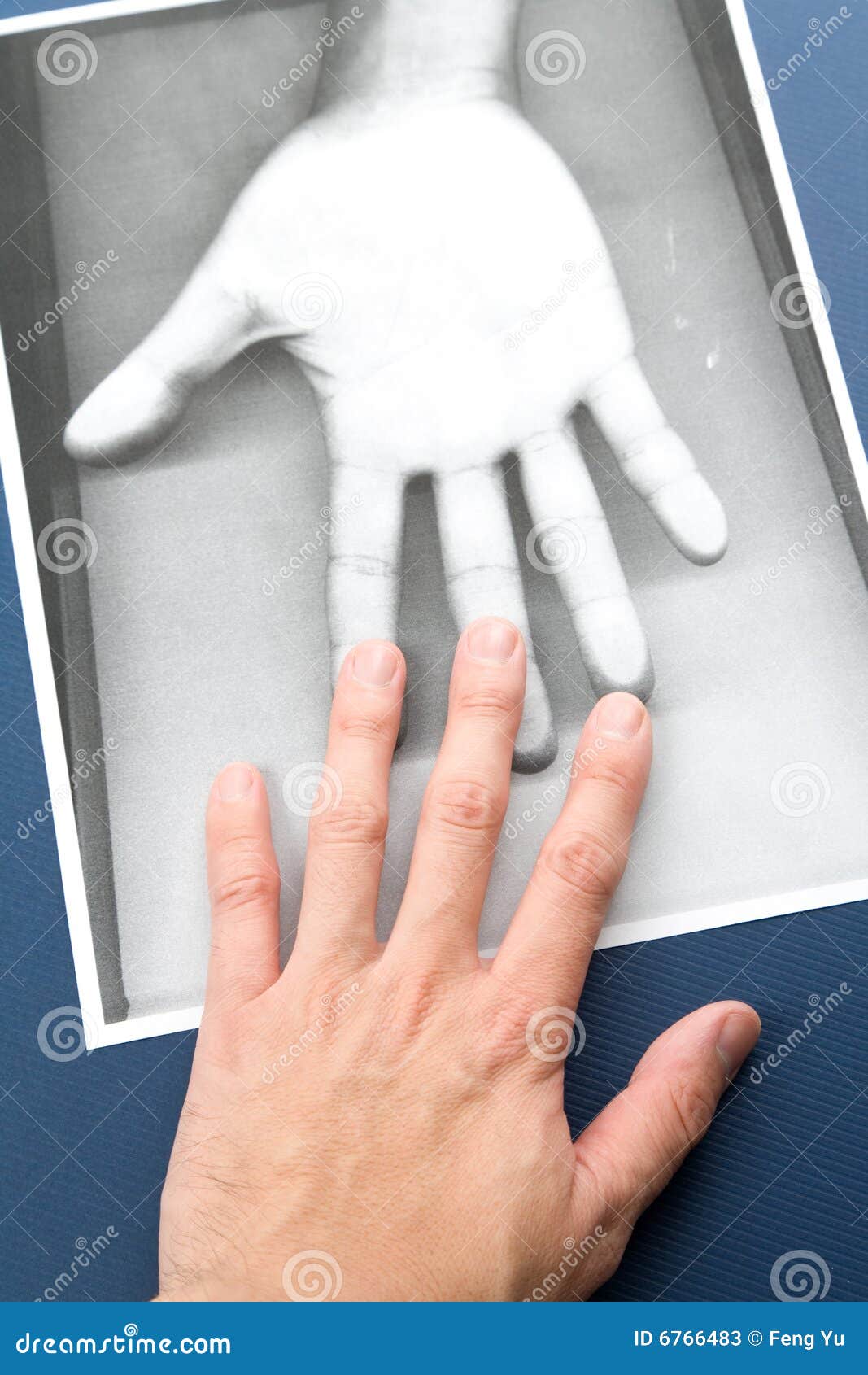 Photocopy of hand stock image. Image of help, photocopy - 6766483