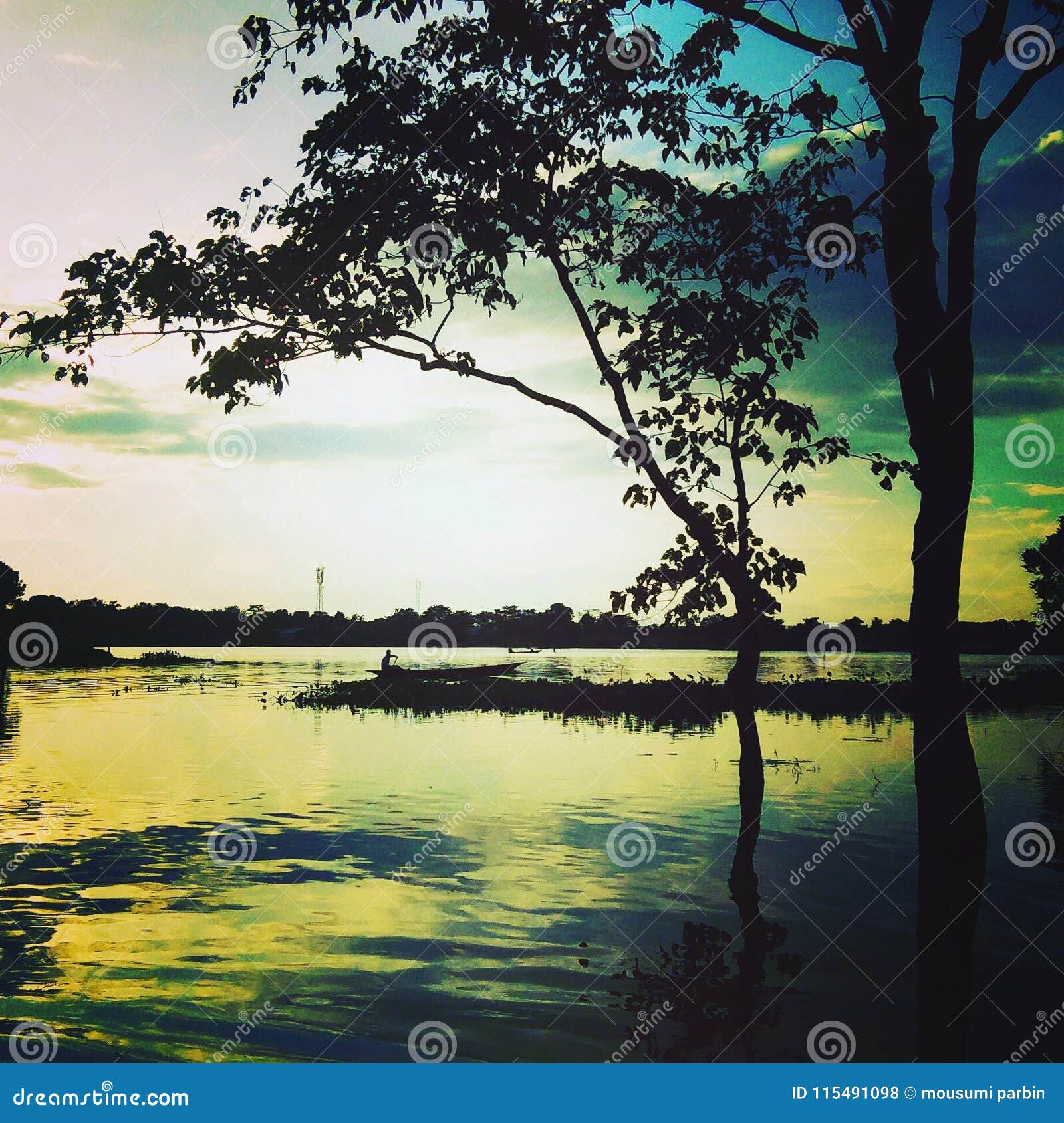 Water reflection stock photo. Image of green, trees - 115491098