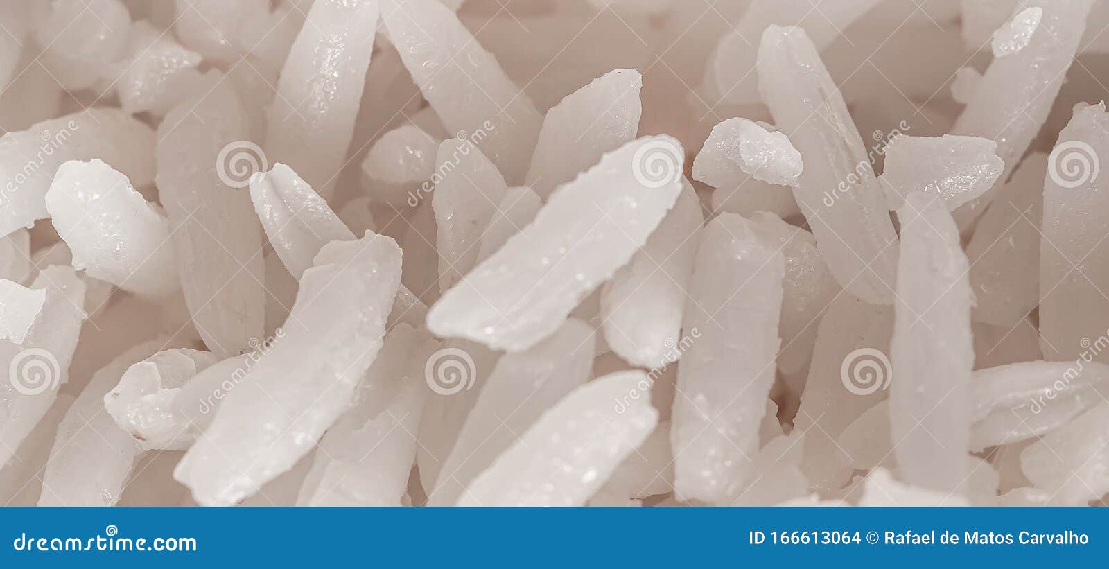 Cooked white rice. stock photo. Image of health, asian - 166613064