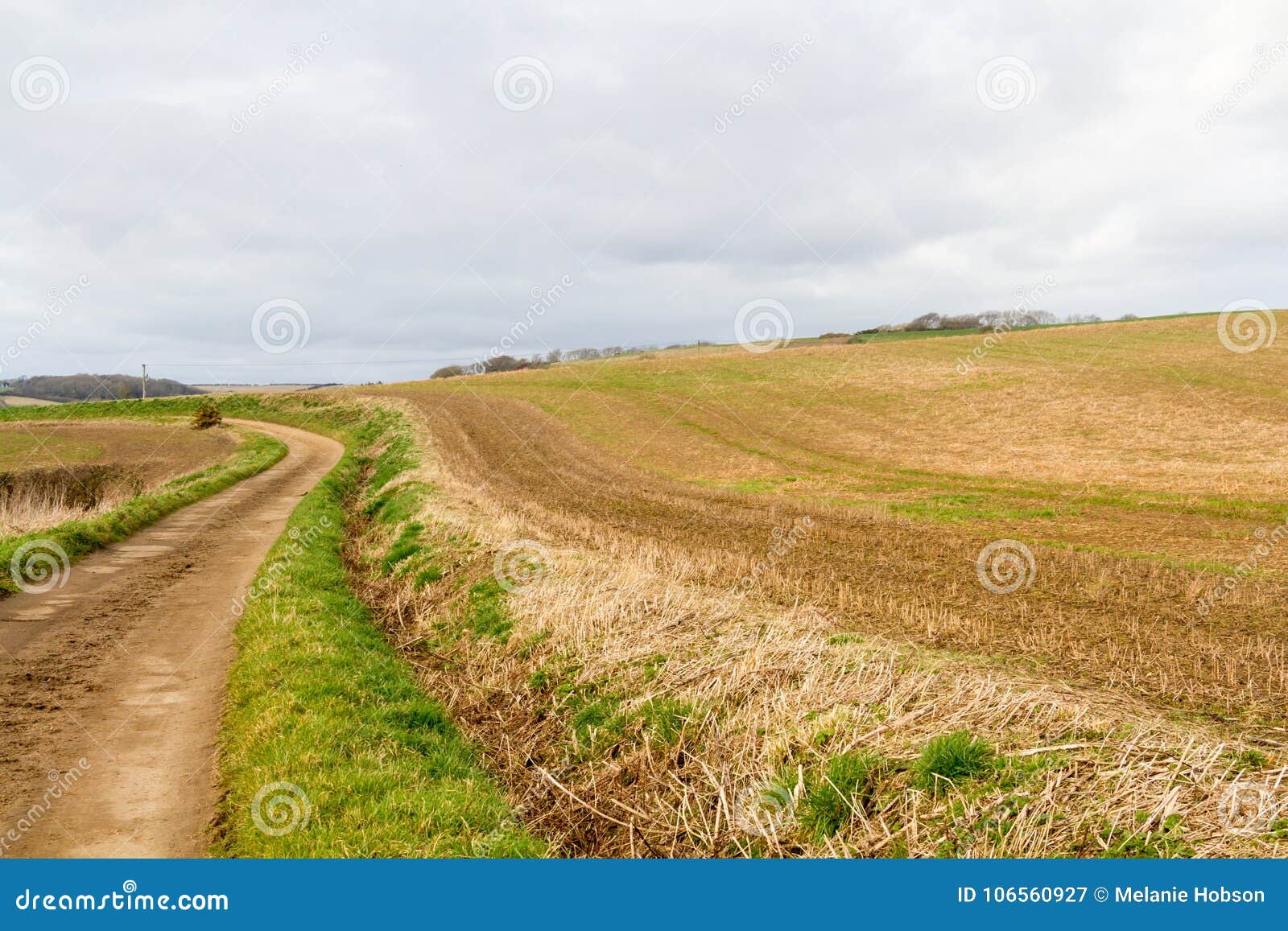 Pathway through Countryside Stock Image - Image of pretty, road: 106560927