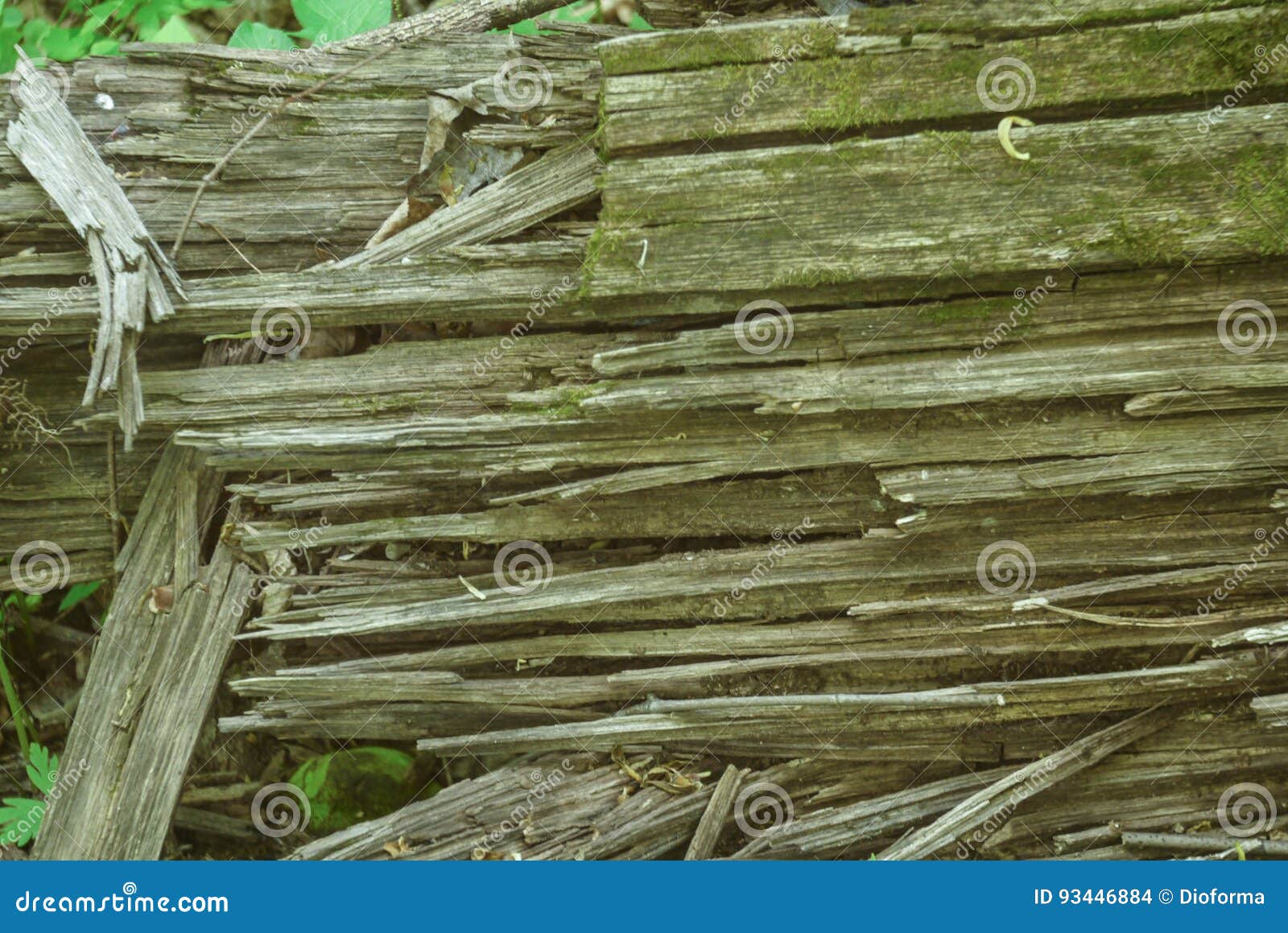 The Photograph of the Destroyed Wood Stock Photo - Image of ground ...