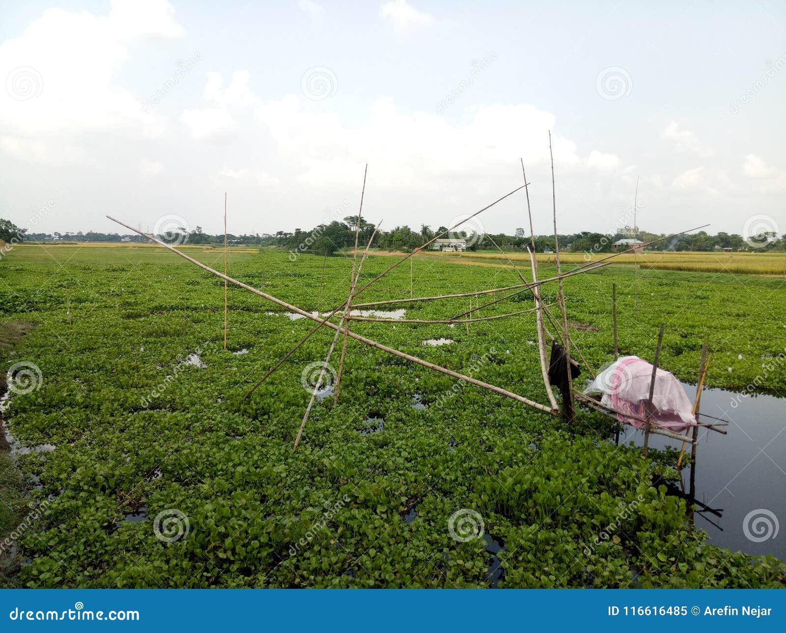 River sight stock image. Image of captured, sight, brige - 116616485