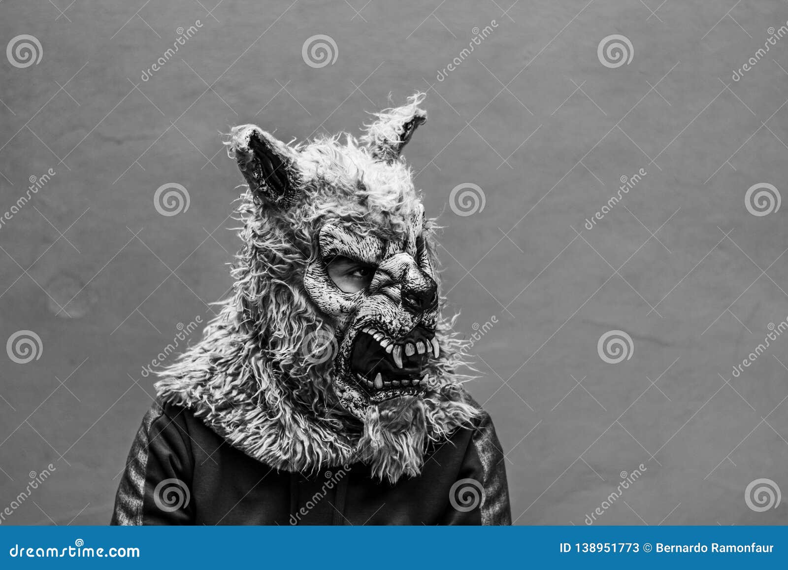 Person with Wolf Mask Photograph Stock Image - Image of character ...