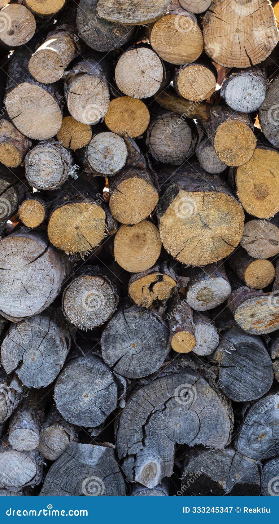 Photograph of Stacked Circular Firewood Logs Stock Image - Image of ...